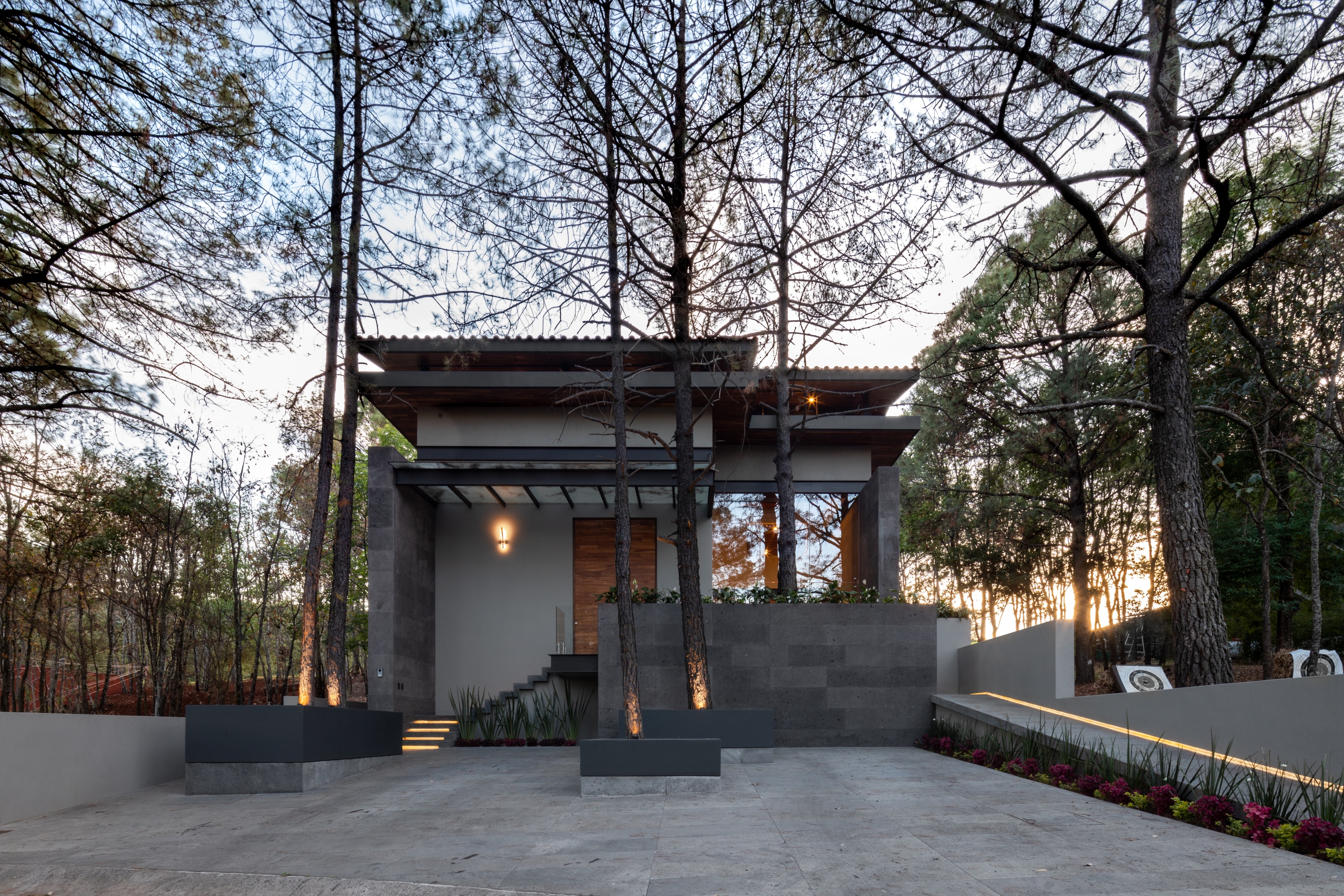 HOUSE BETWEEN PINE TREES by Infante Arquitectos - Architizer