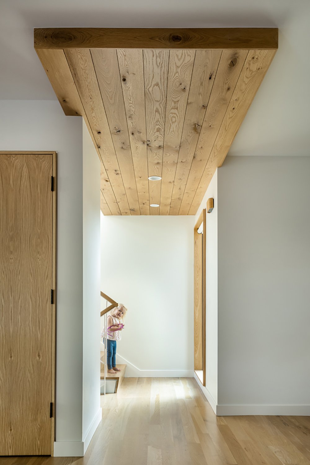 Rabbit House by Roth Sheppard Architects - Architizer