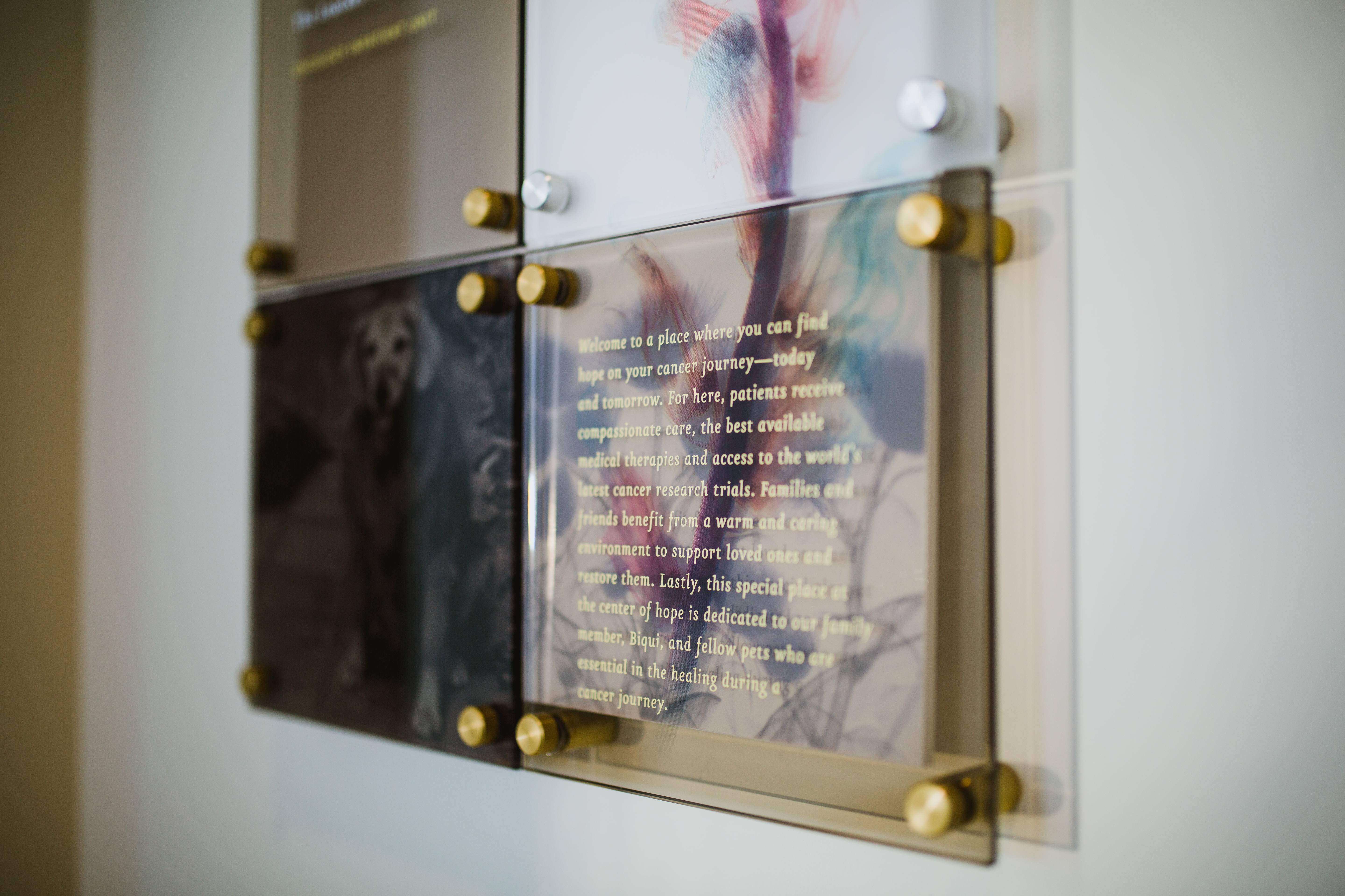 Providence Portland Cancer Center by Presentation Design Group - Architizer