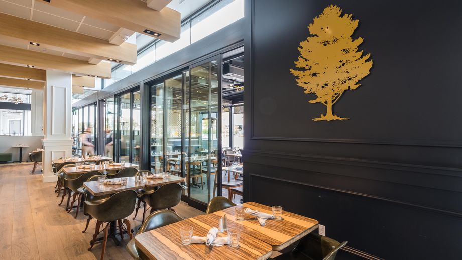 Great Maple - San Diego by DPA | Dwight Patterson Architects - Architizer