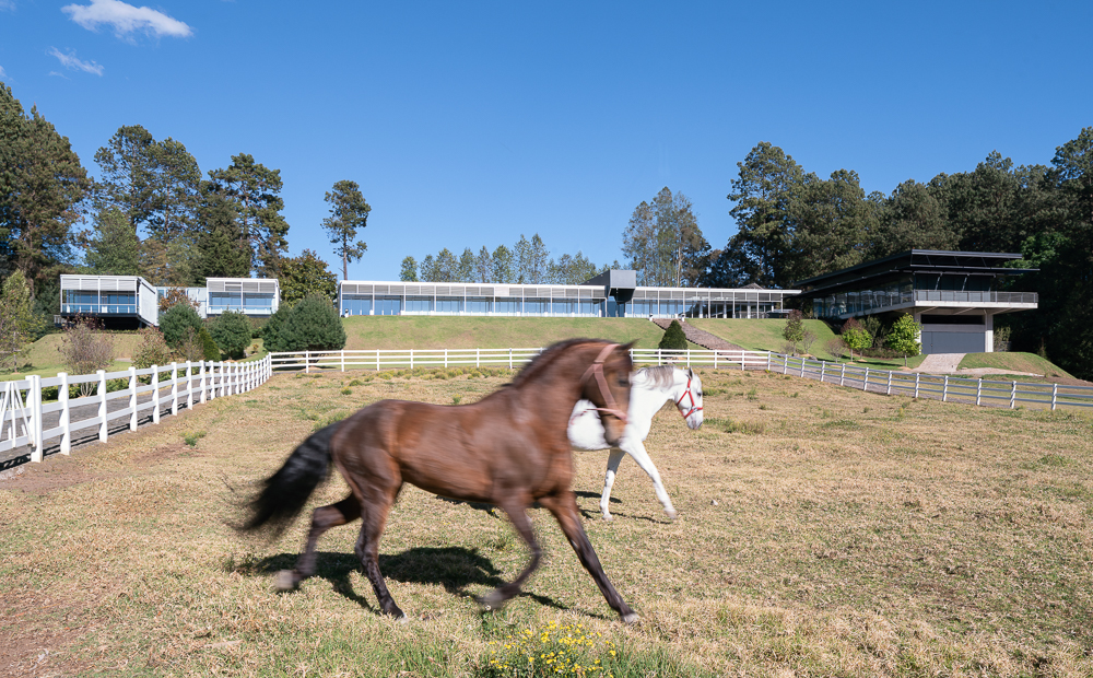 Casa El Ortigo by grupoarquitectura - Architizer