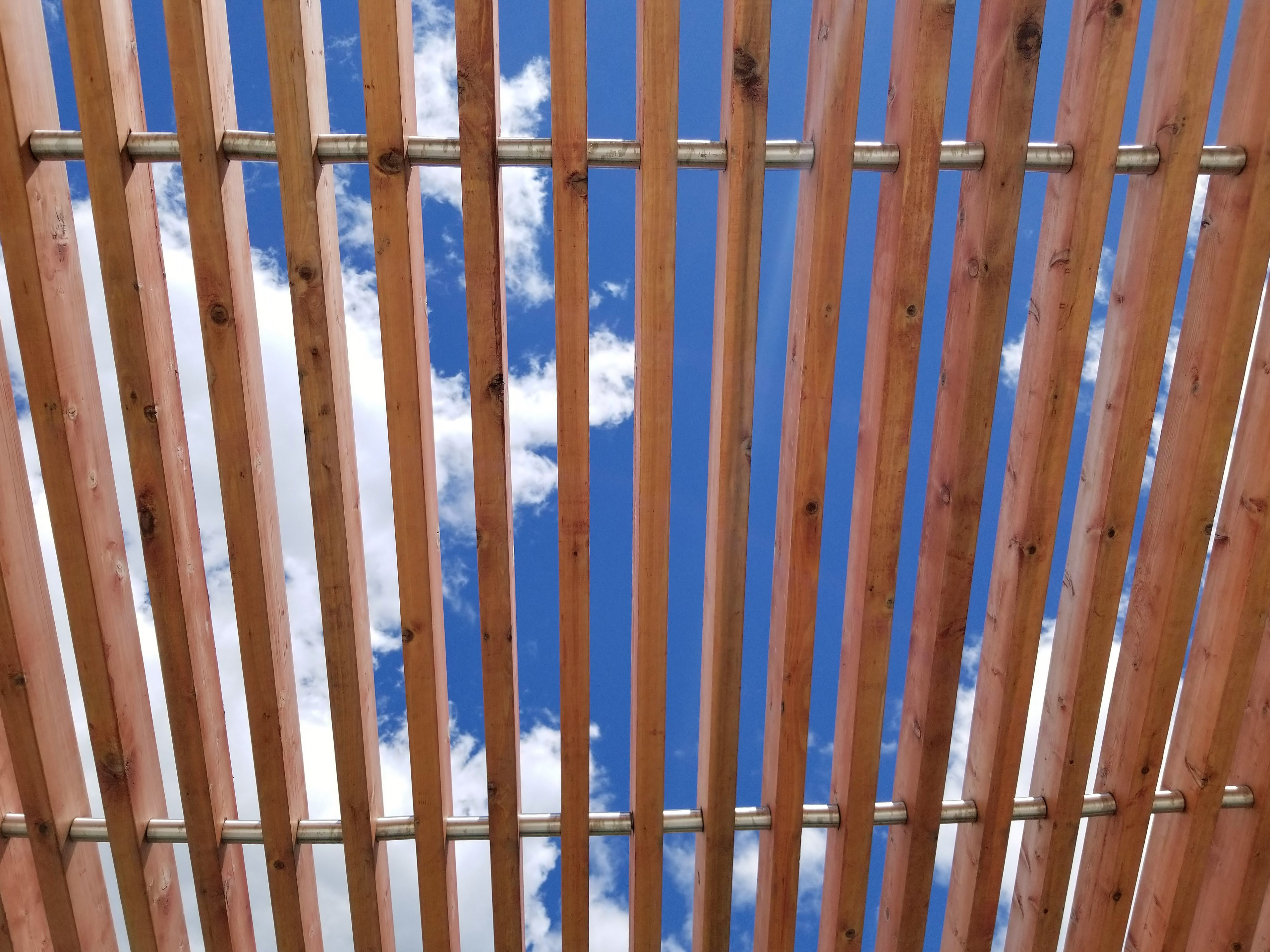 rose architecture - Architizer