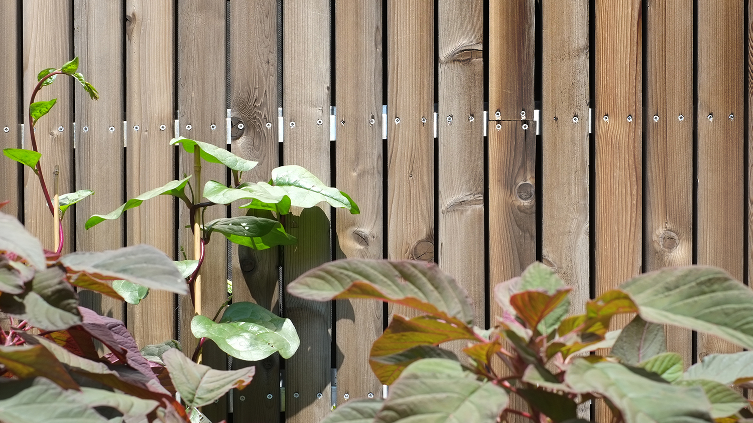 Santropol Roulant by rose architecture - Architizer