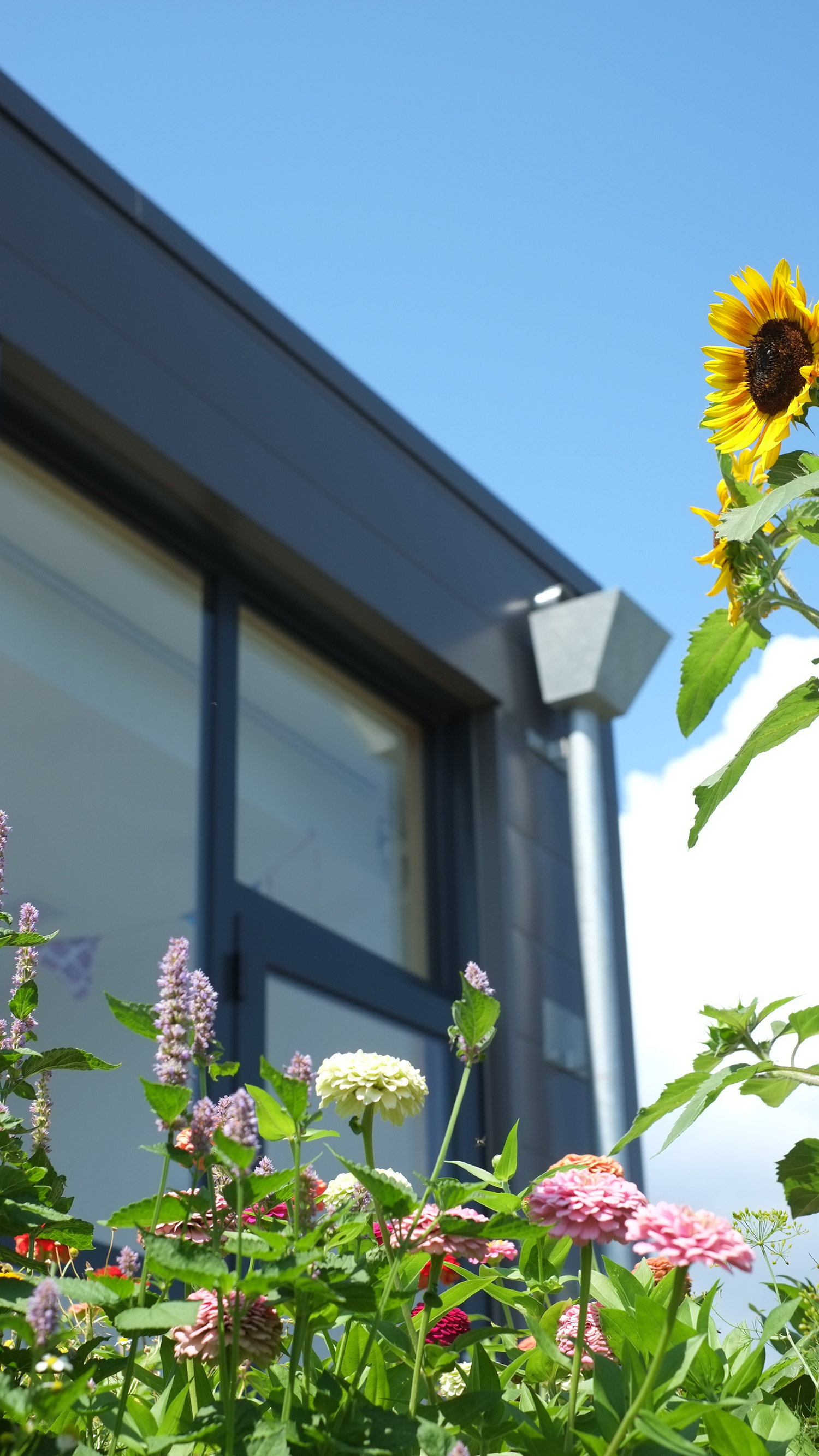 Santropol Roulant by rose architecture - Architizer