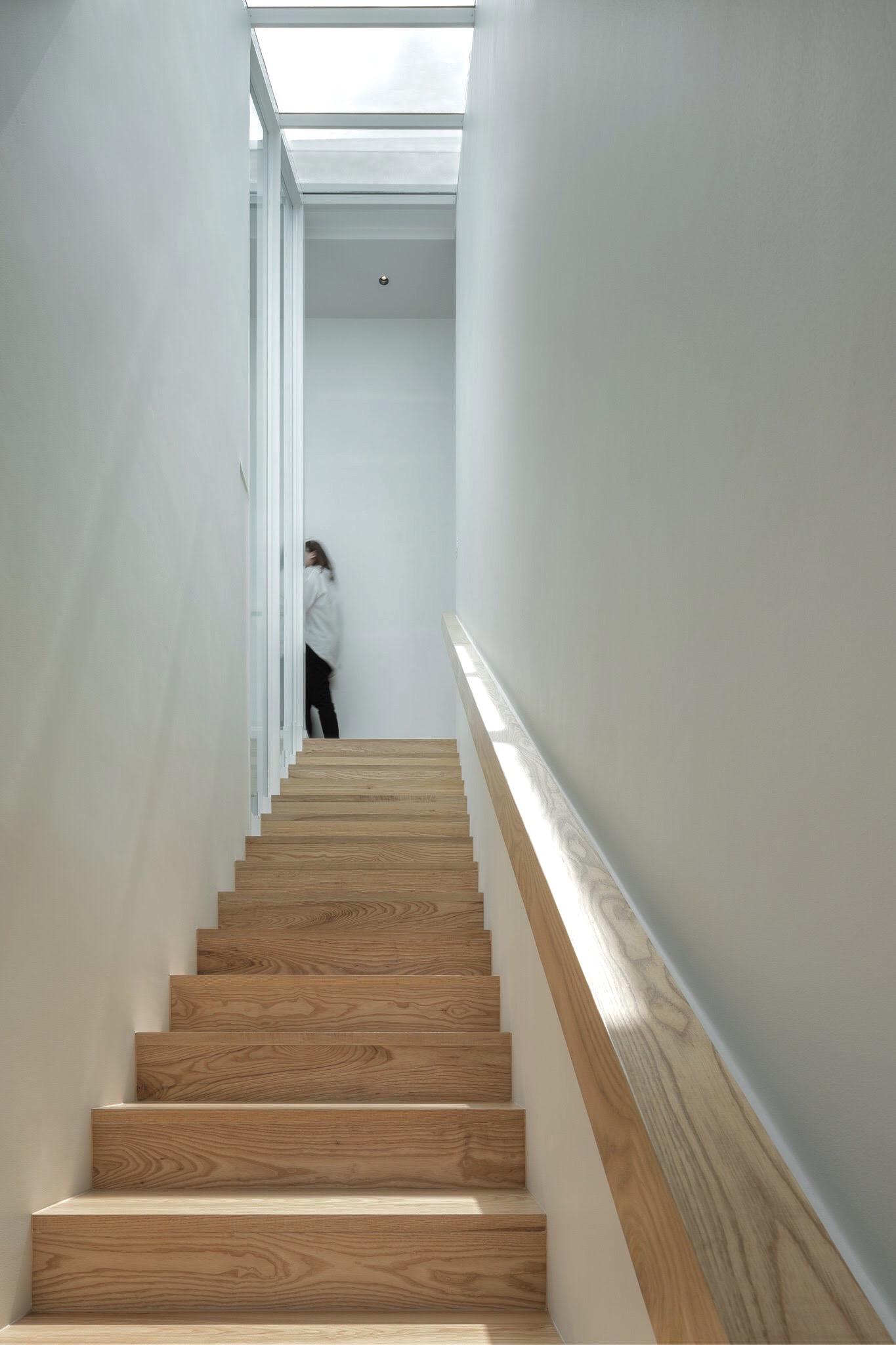 House Enfold by TOUCH Architect - Architizer