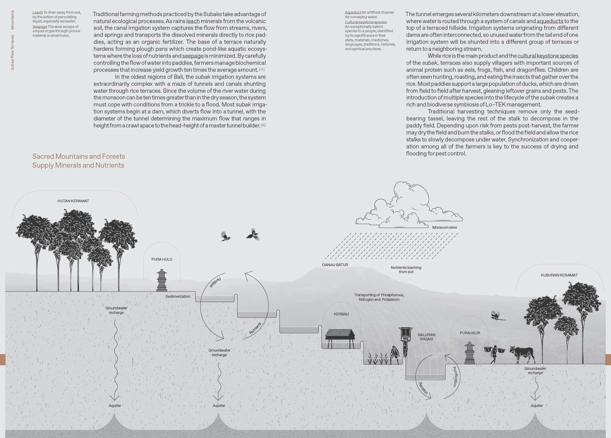 Idea 3070724: Lo—TEK, Design by Radical Indigenism by Julia Watson LLC ...