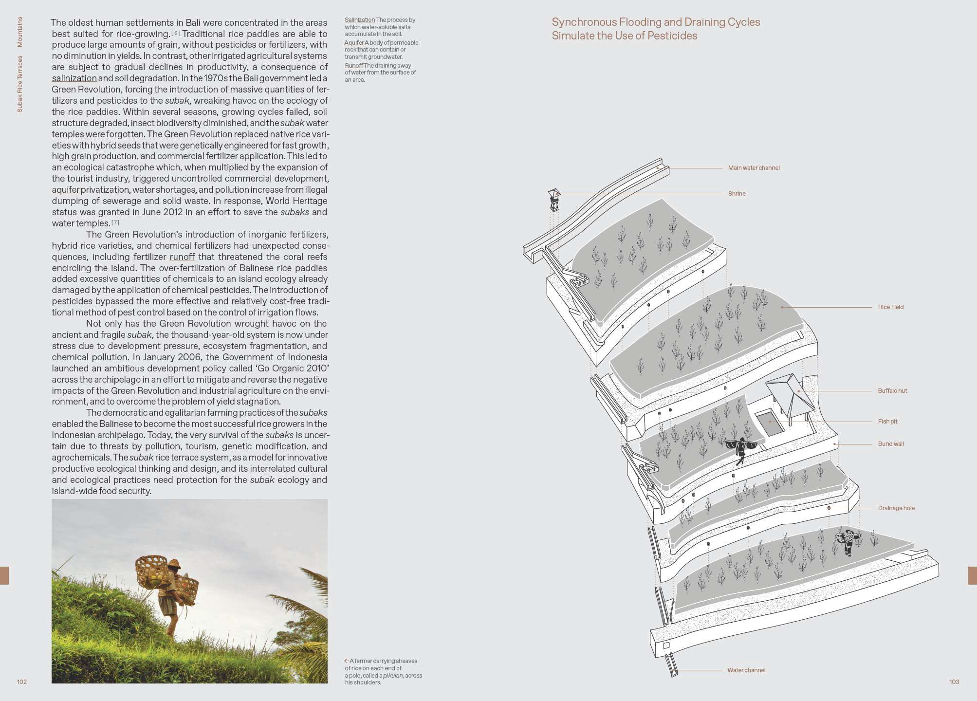 Lo—TEK, Design by Radical Indigenism by Julia Watson LLC - Architizer