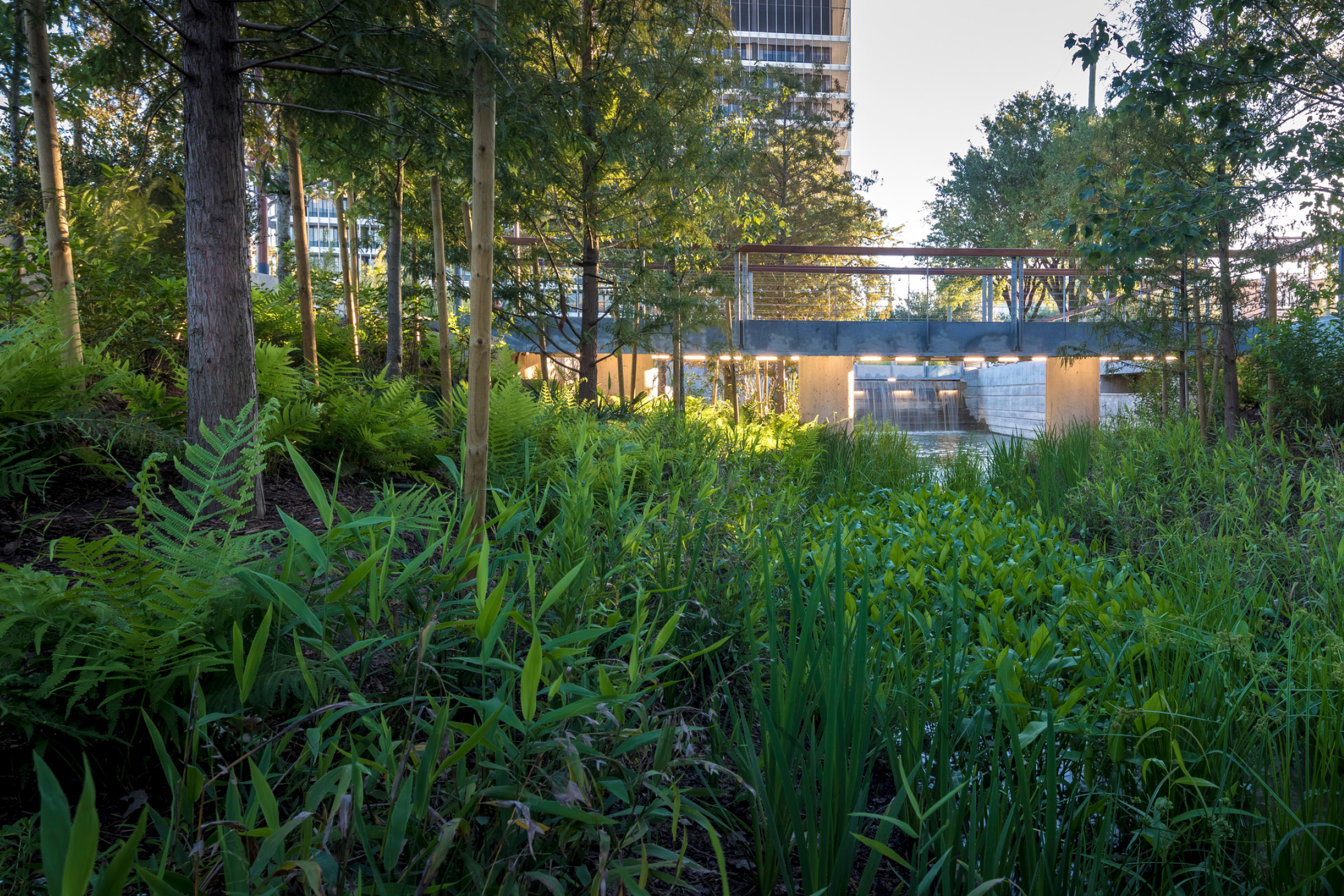 Houston Midtown Park by Design Workshop - Architizer