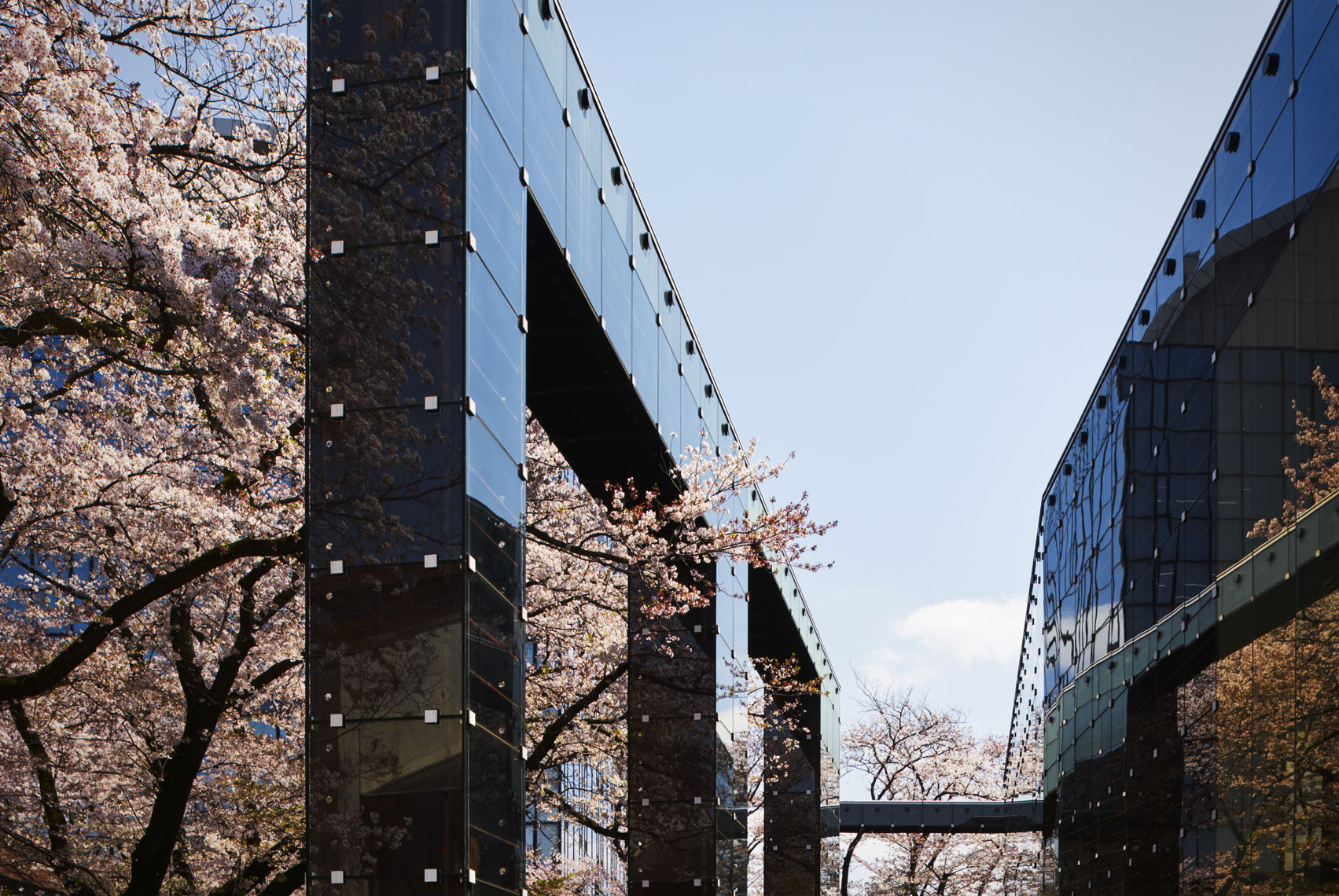 Musashino Art University Museum & Library by Edward Caruso Photography ...