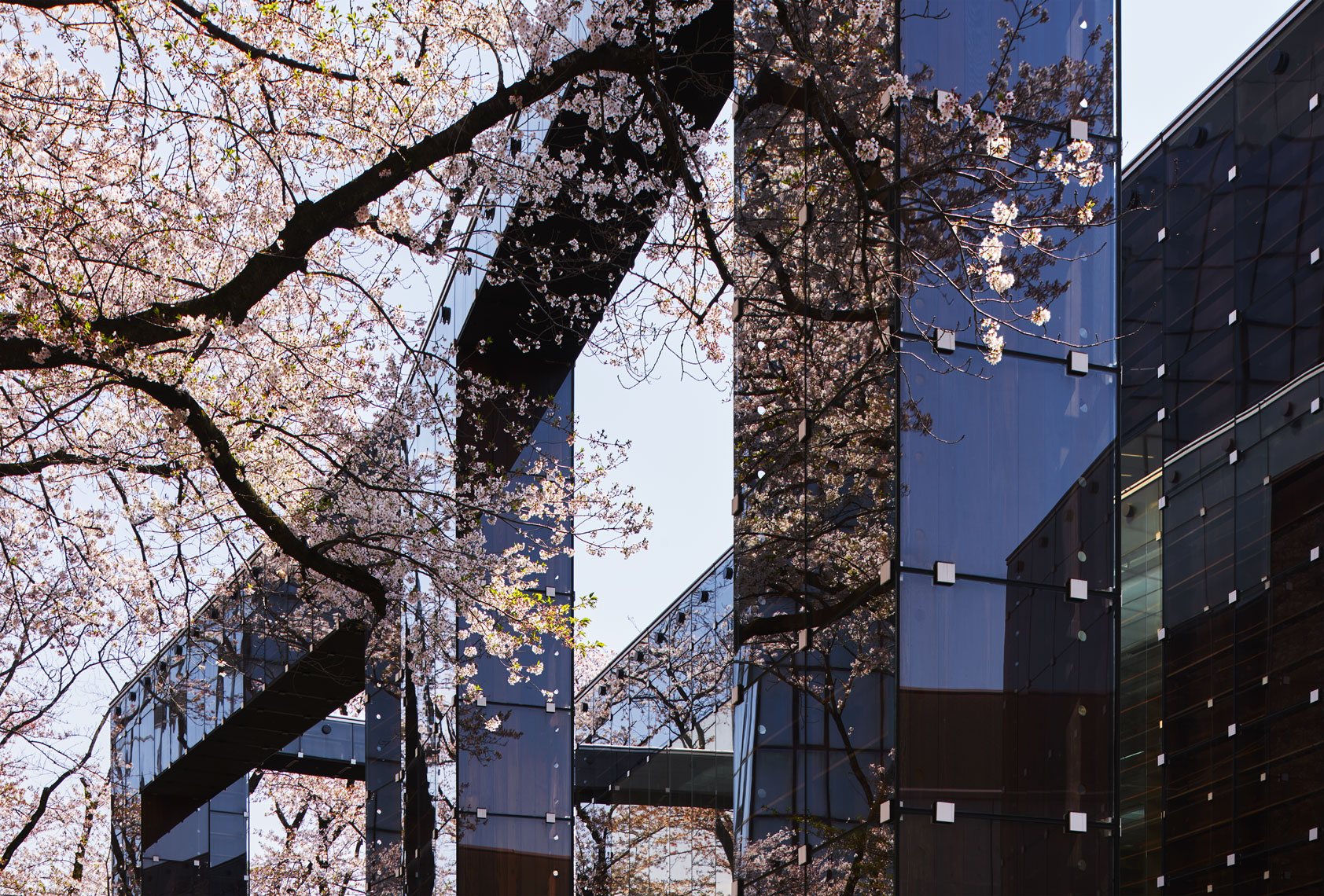 Rutgers University Chemistry and Chemical Biology Building by Edward ...