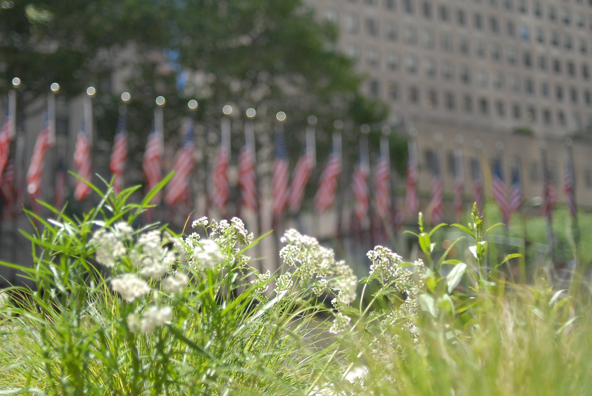 Rockefeller Center Summer Gardens by Julia Watson LLC - Architizer