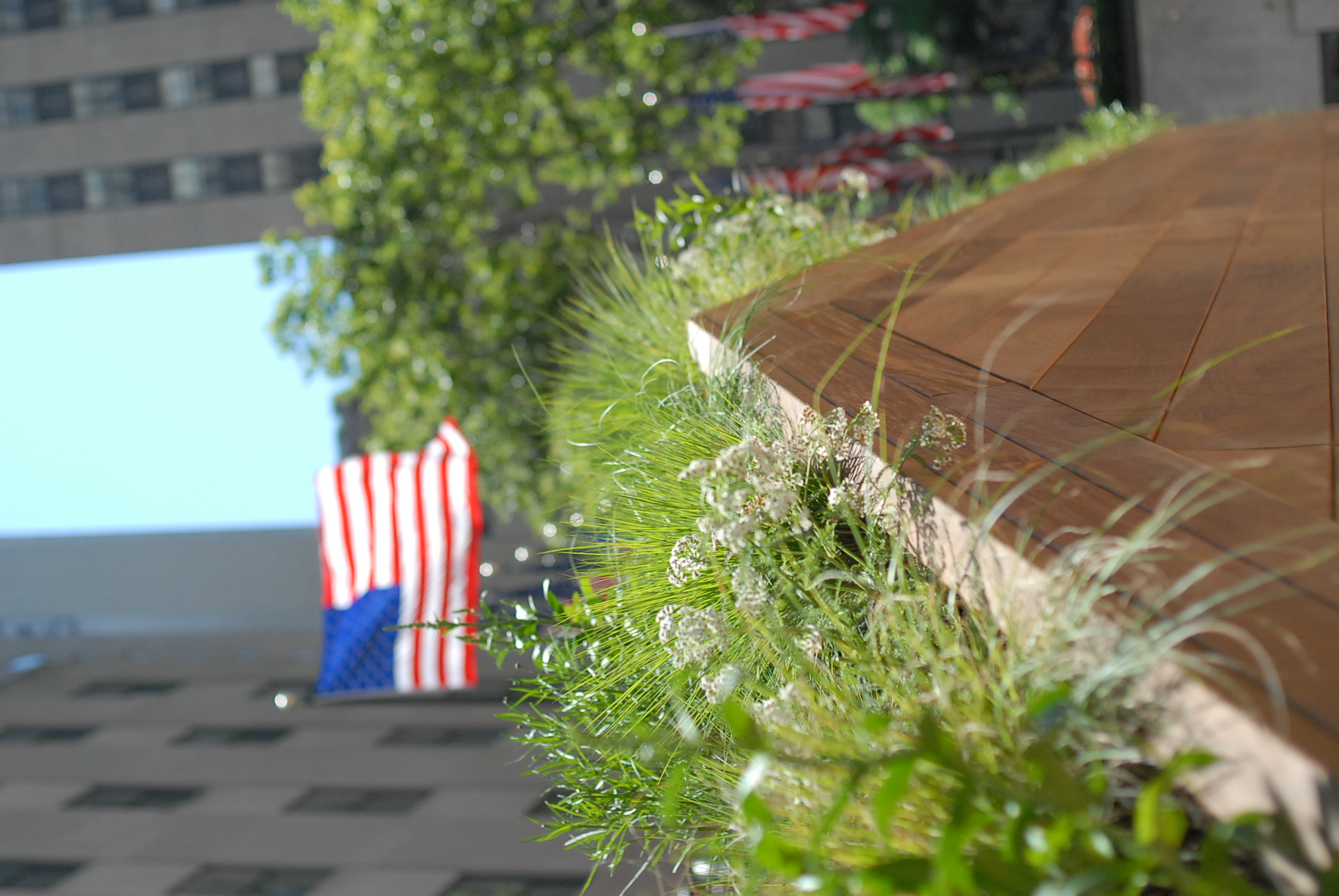 Rockefeller Center Summer Gardens by Julia Watson LLC - Architizer