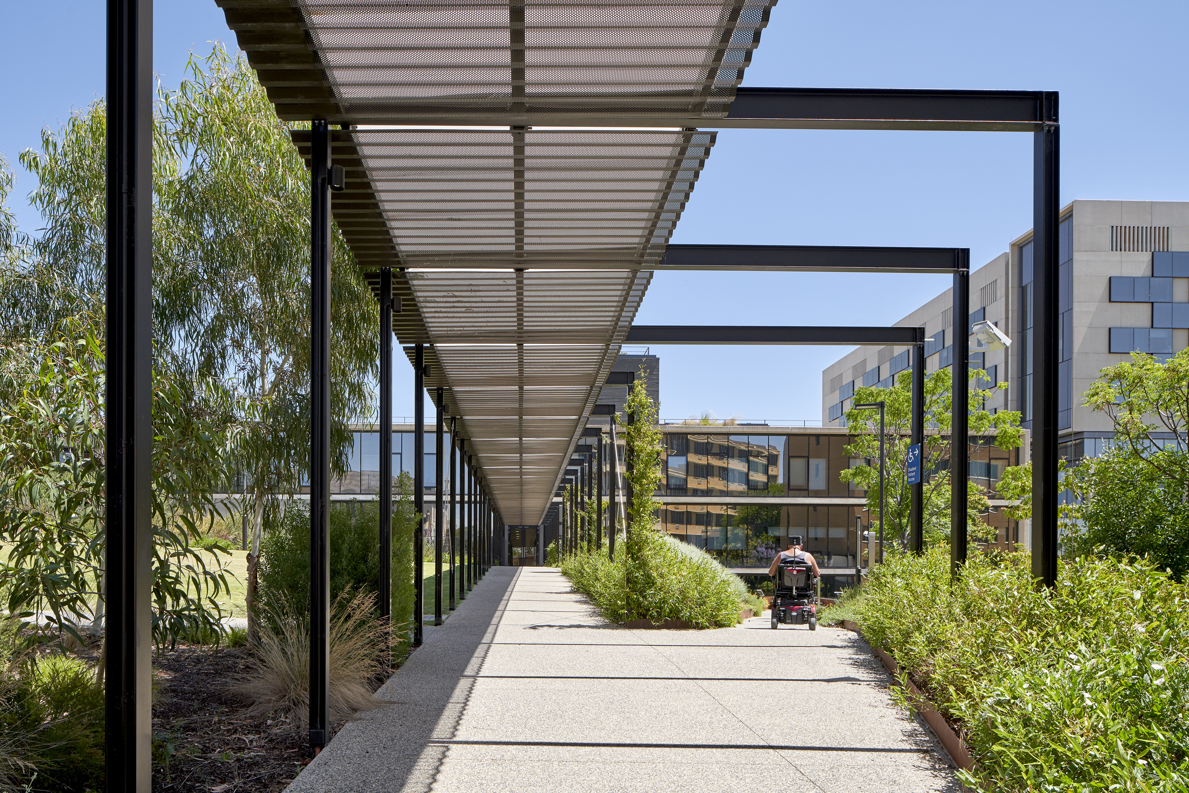 Bendigo Hospital by Bates Smart - Architizer