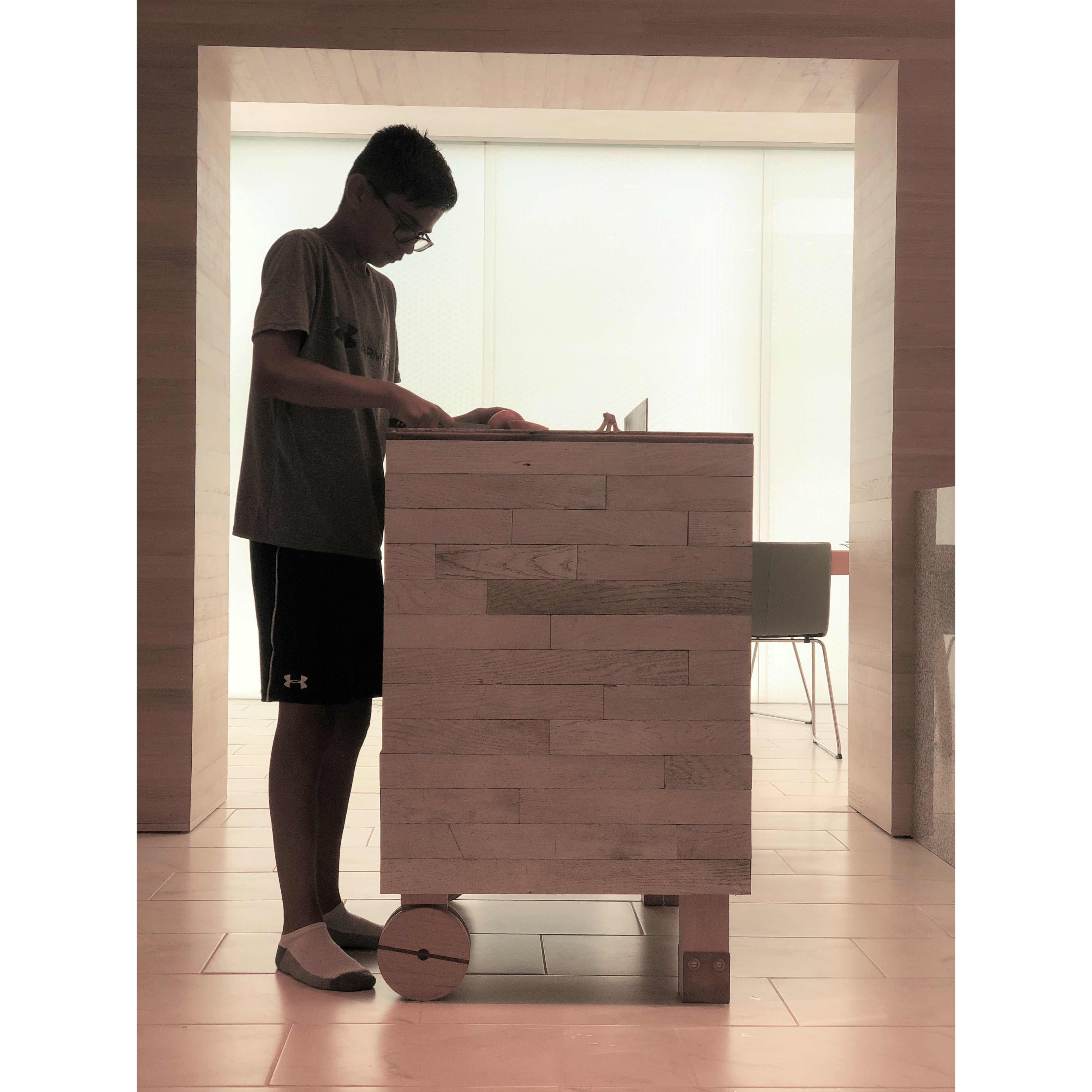 Bubble Wrap House by Amber Book - Architizer