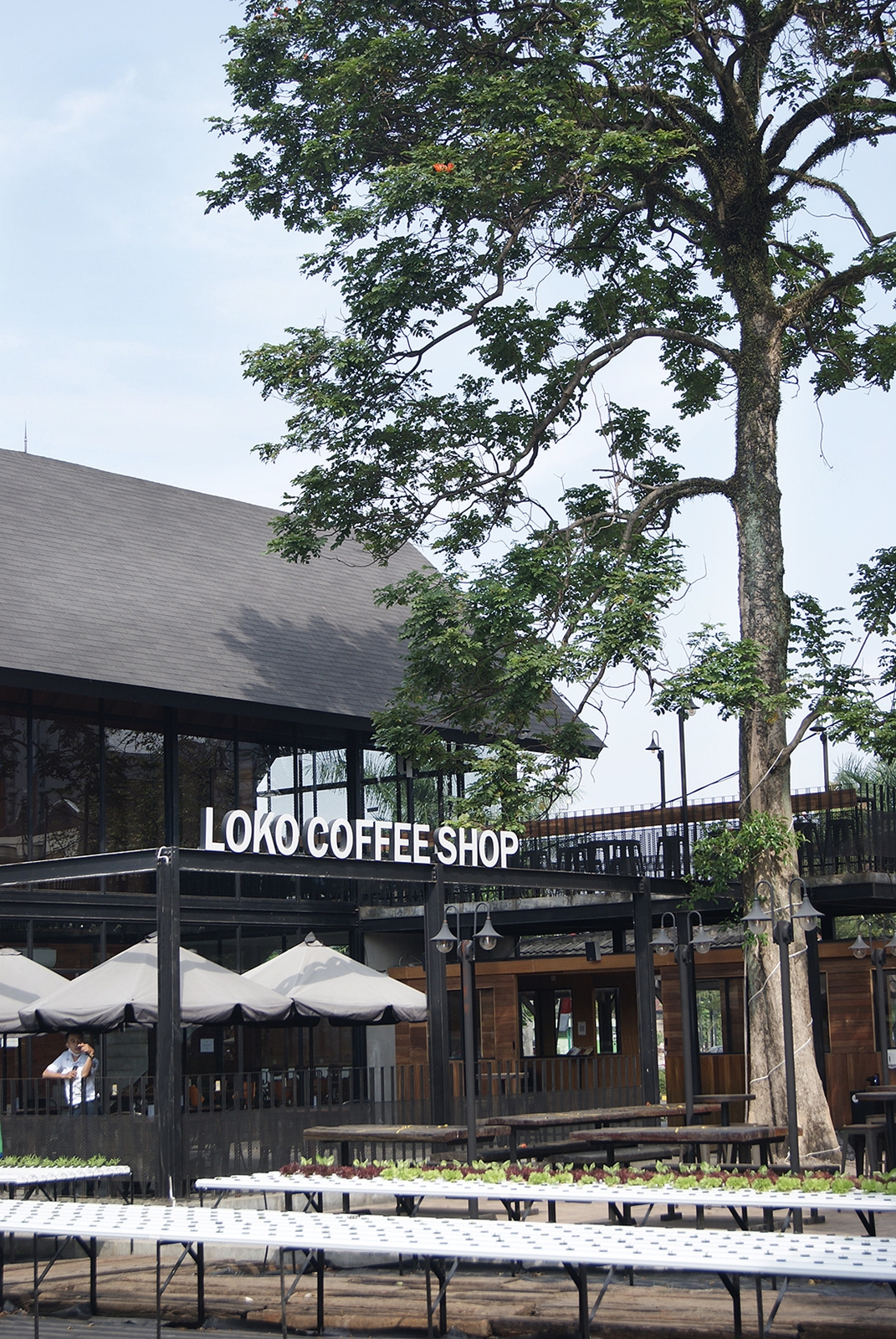 Loko Cafe by Aaksen Responsible Aarchitecture - Architizer