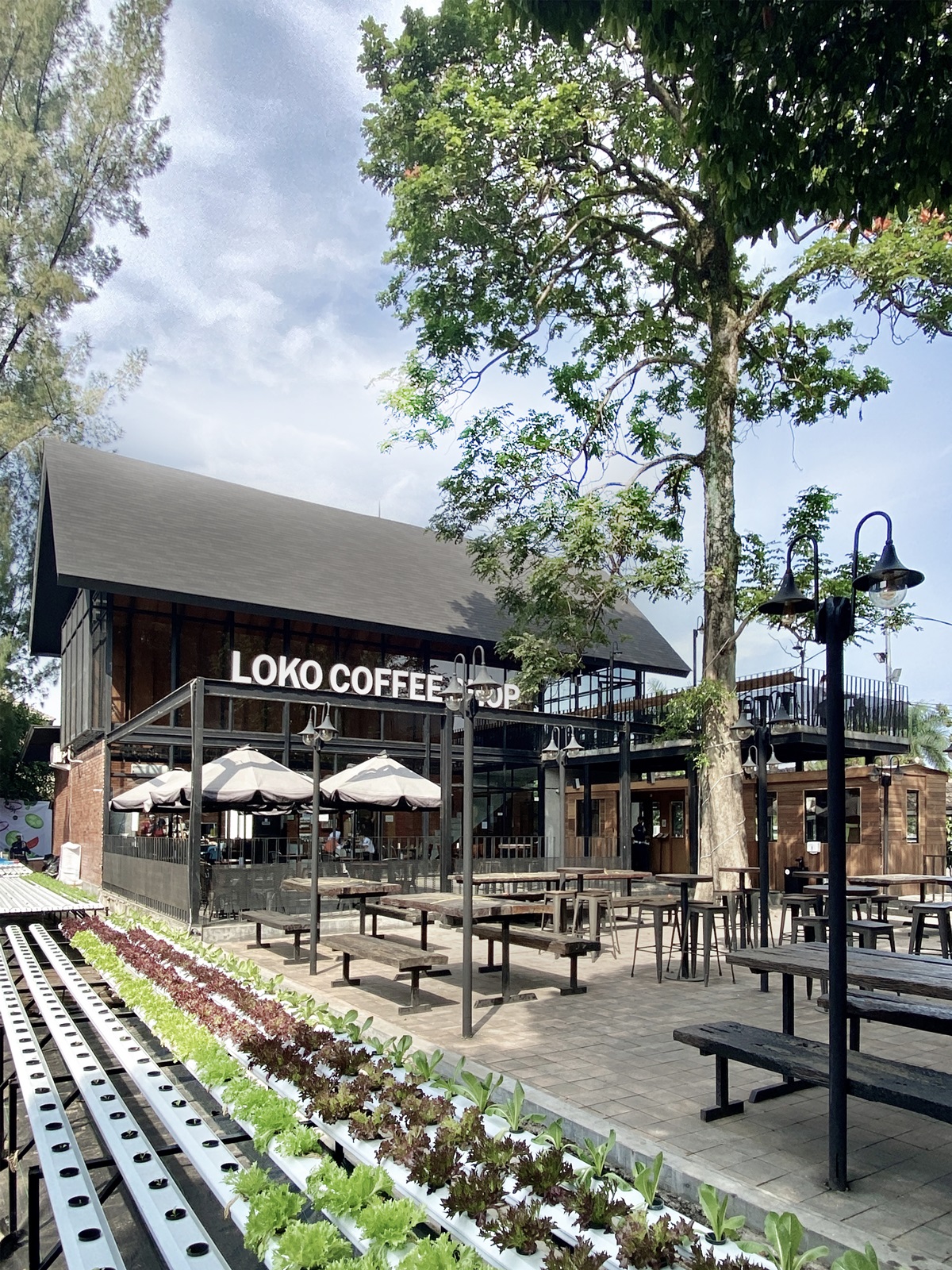 Loko Cafe by Aaksen Responsible Aarchitecture - Architizer