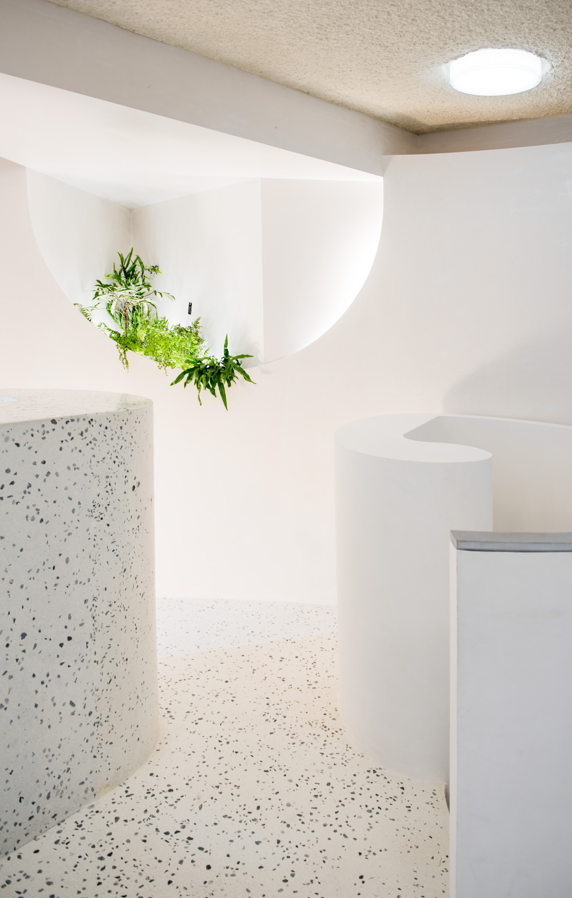 Bloom Coffee shop by Dominique Coulon & Associés - Architizer