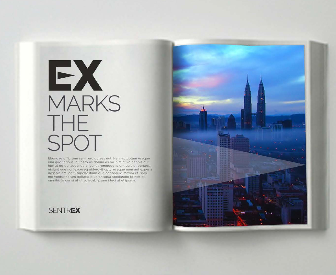 Sentrex by Pomeroy Studio - Architizer