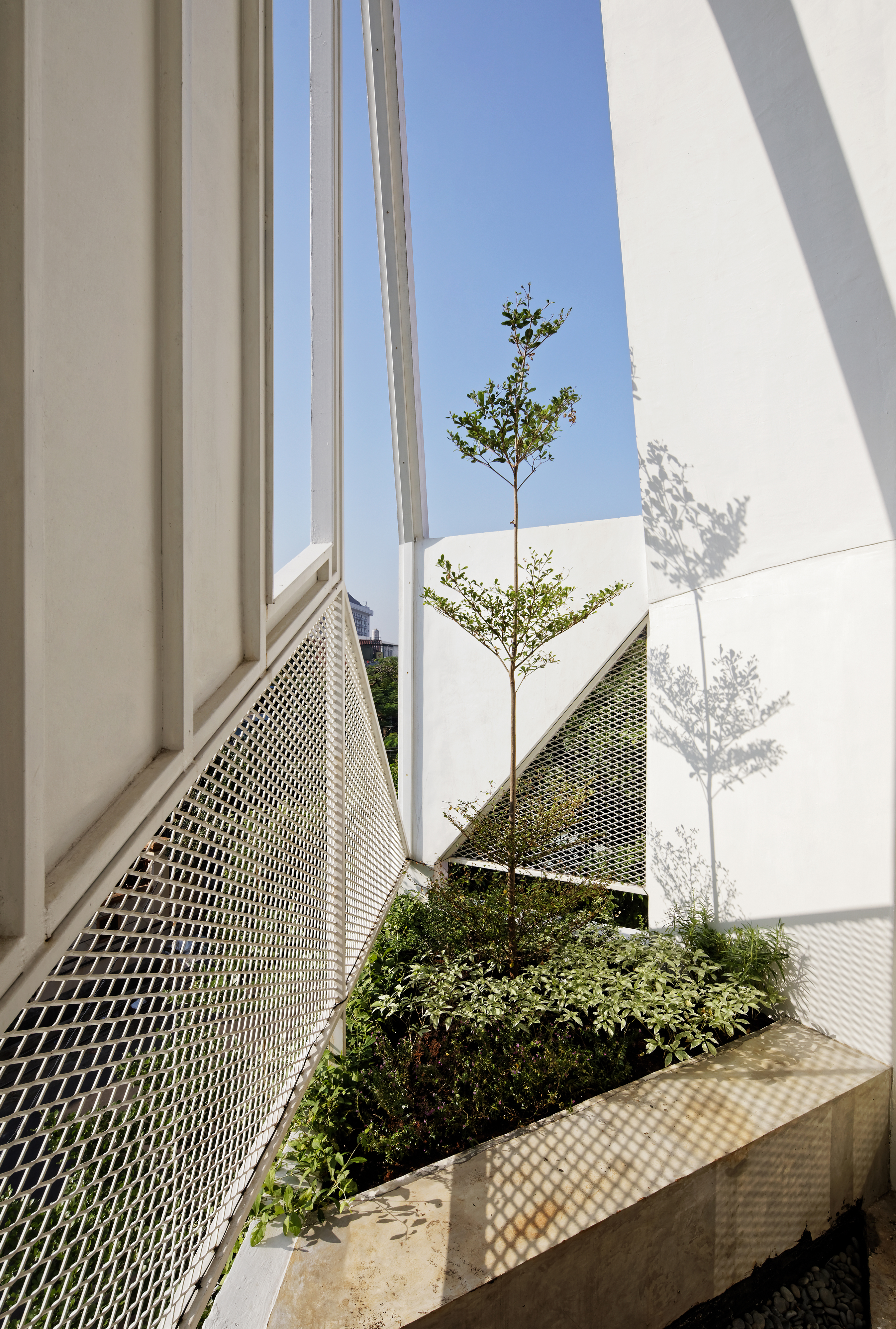 Trow House by DELUTION - Architizer