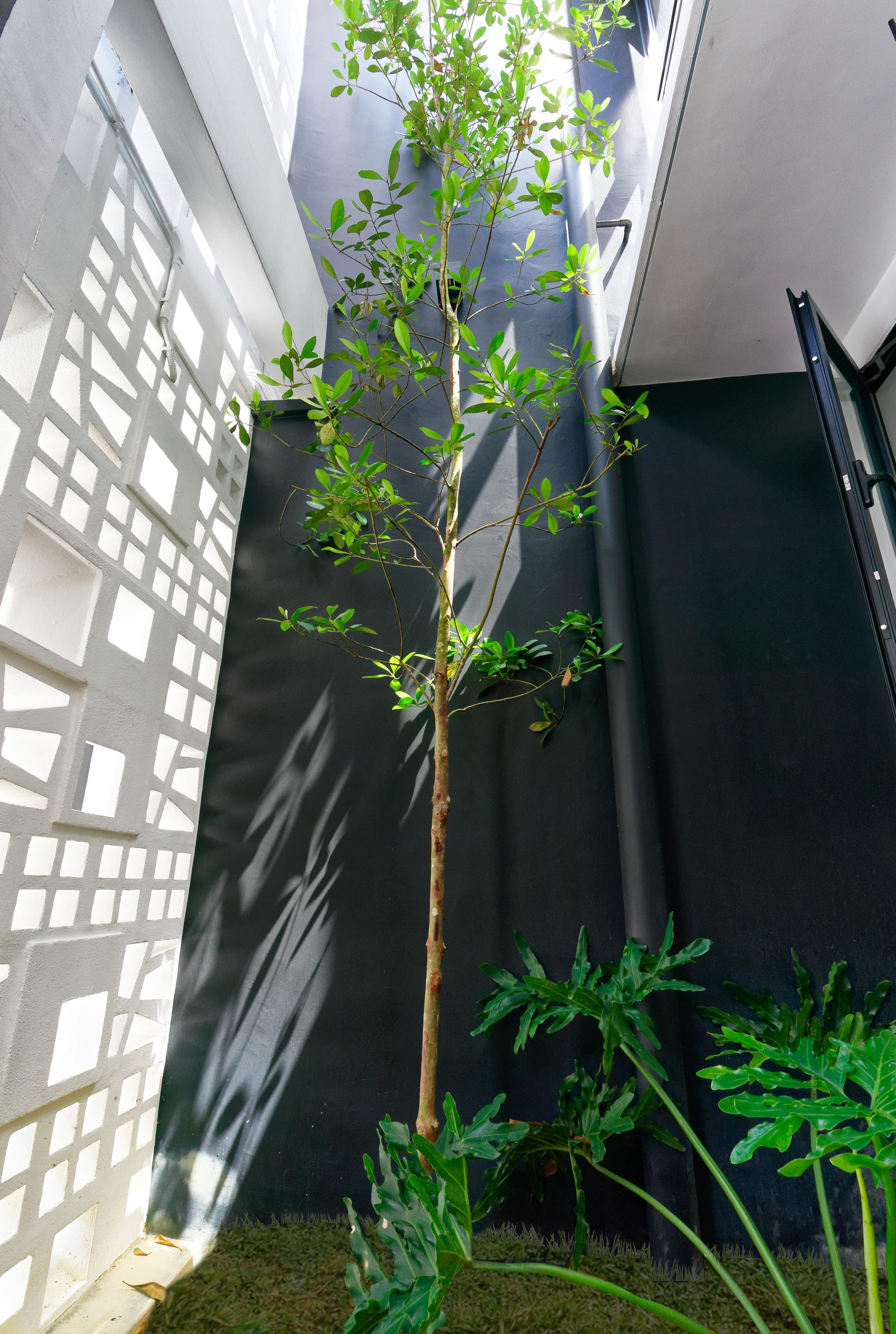 3 Courtyards House by O2 Design Atelier - Architizer