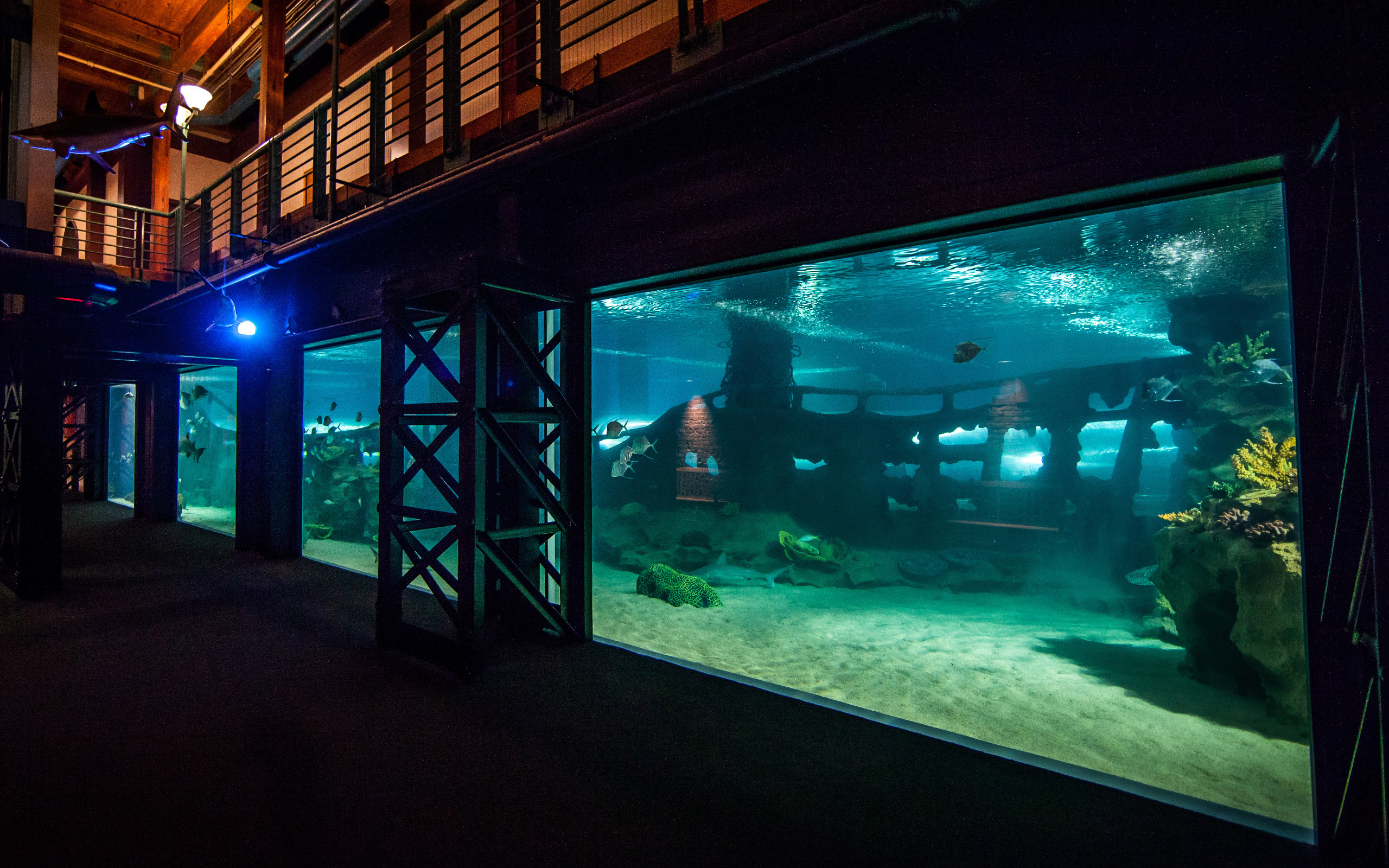 Greater Cleveland Aquarium by Aquamarine - Architizer