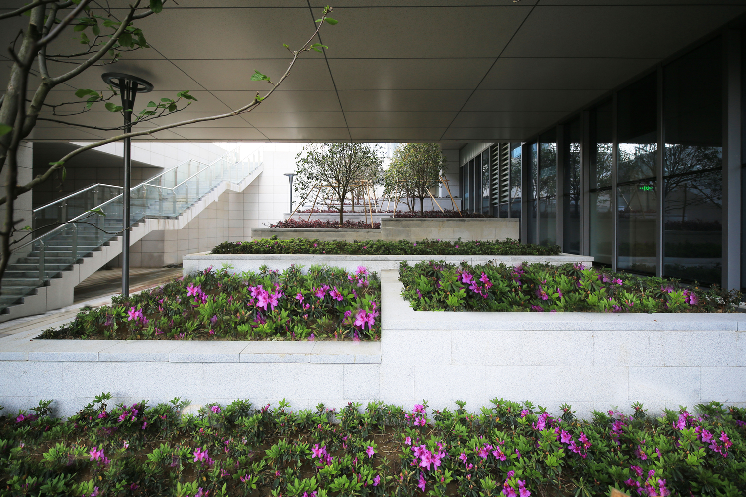 TriHealth, Good Samaritan Western Ridge by GBBN - Architizer