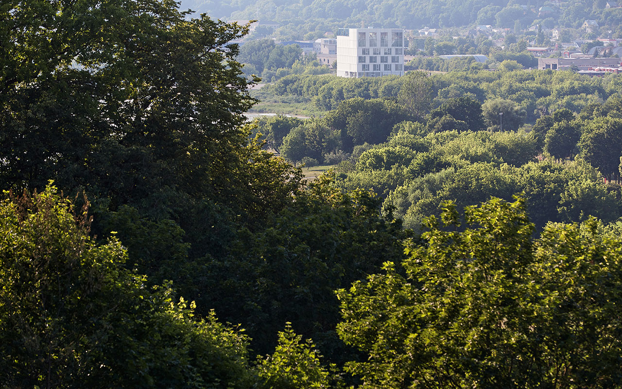 ALIA reconstruction by NEBRAU - Architizer