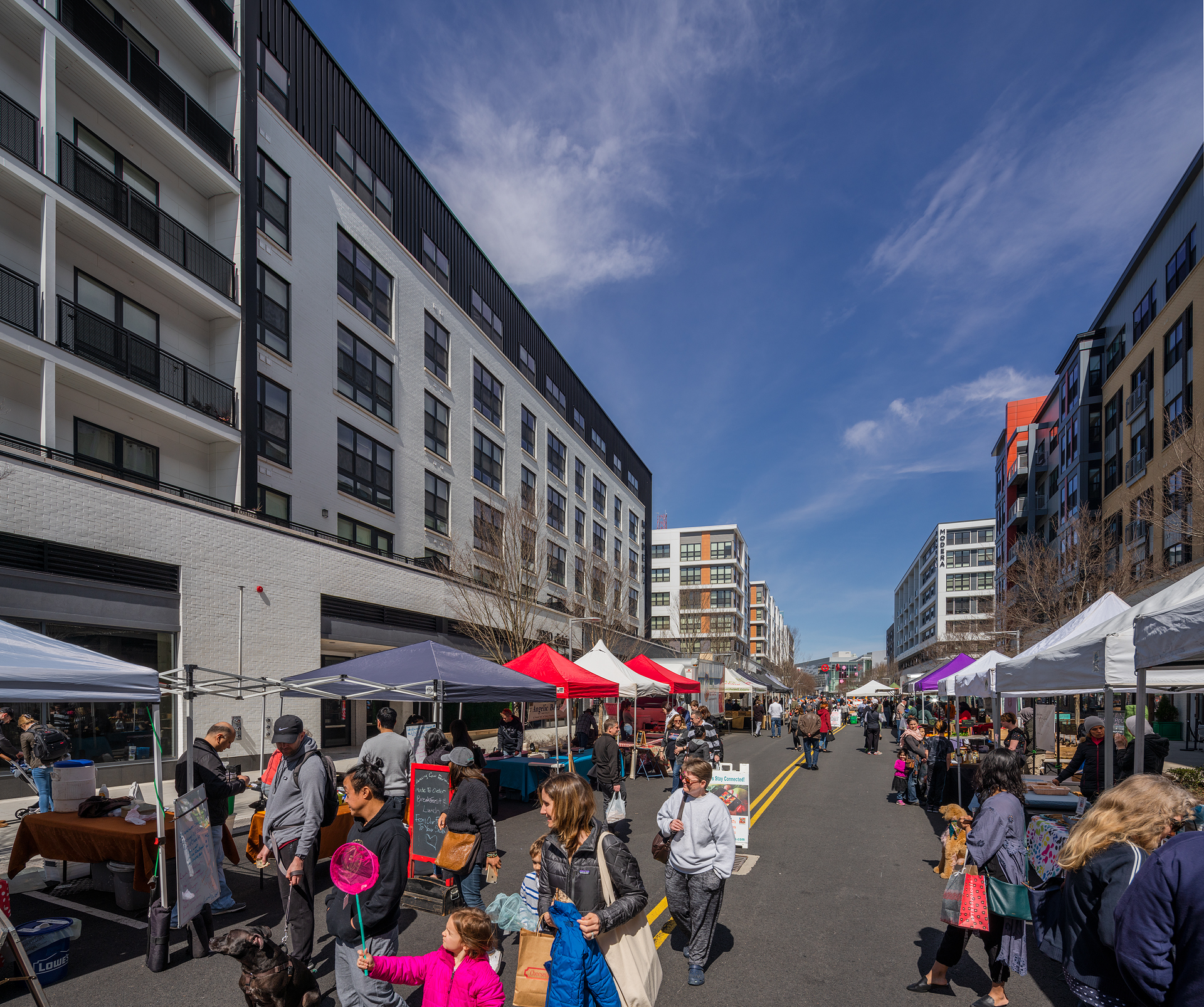 Modera Mosaic by SK+I Architecture - Architizer