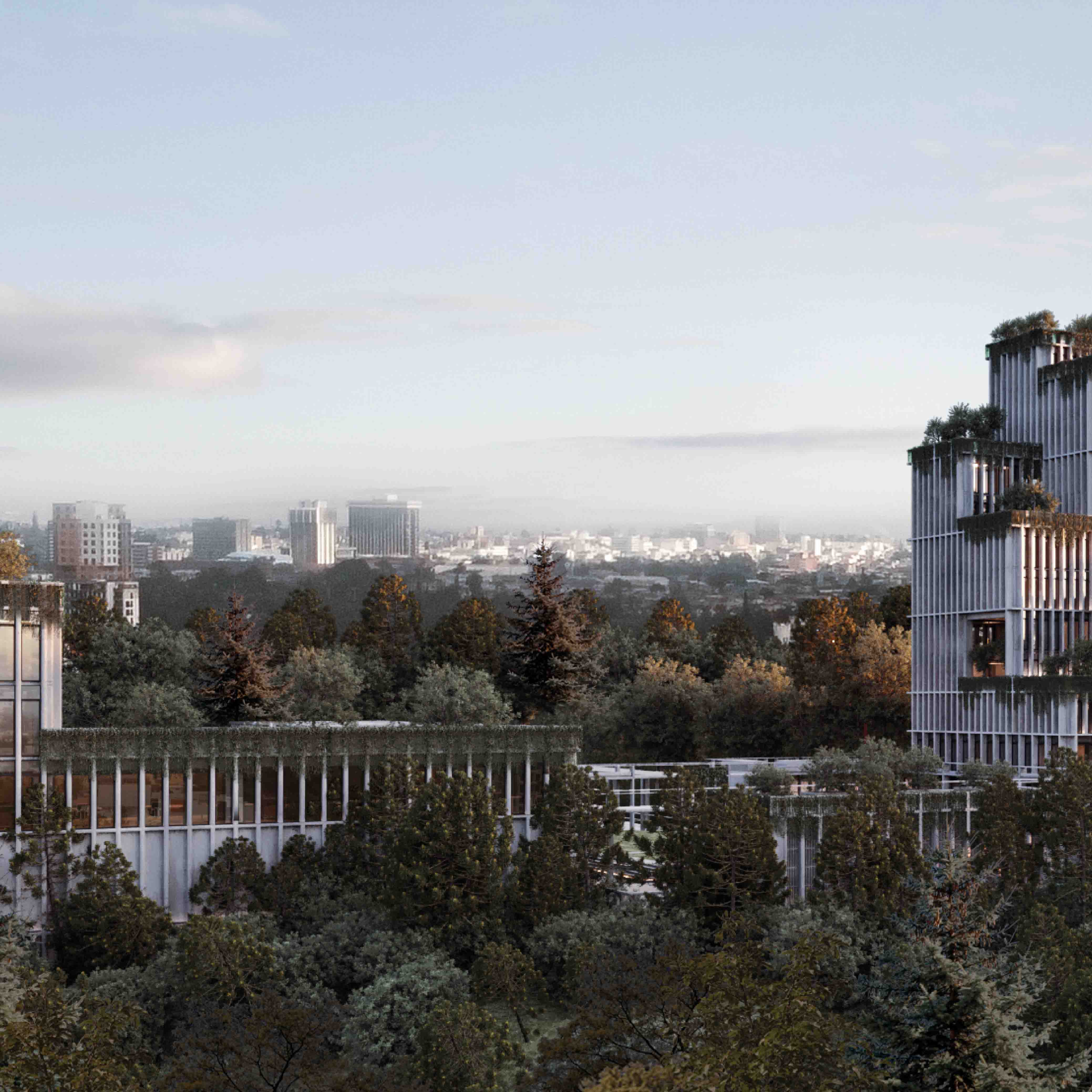 CDP by DC Arquitectura - Architizer