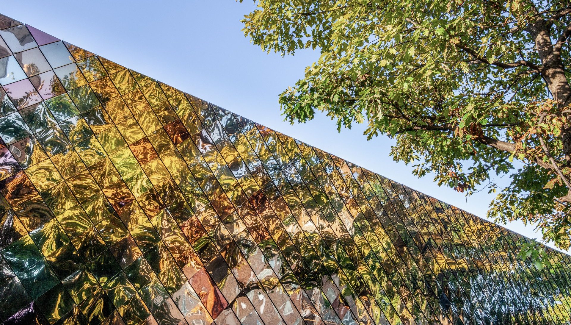 Williams Park Fieldhouse by STLarchitects - Architizer