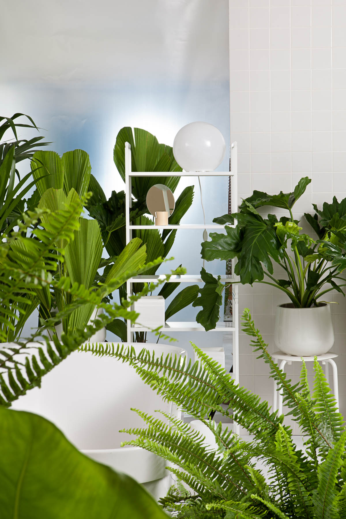 PARADISO room by gon - Architizer