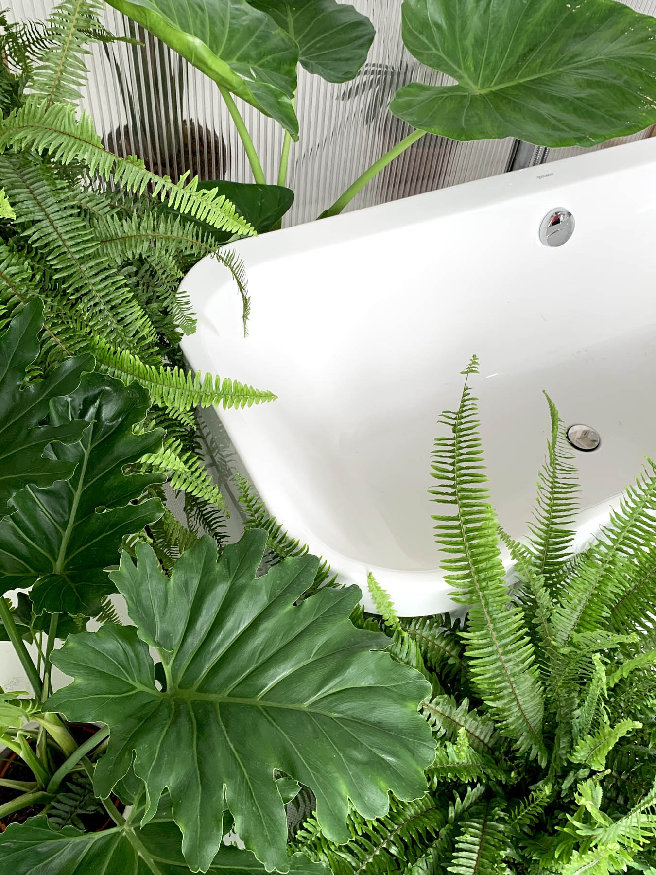 PARADISO room by gon - Architizer