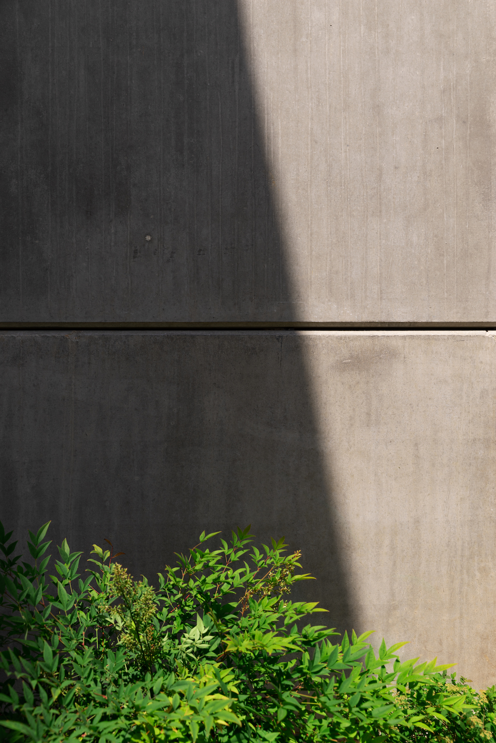 RGV House by Studio Module - Architizer