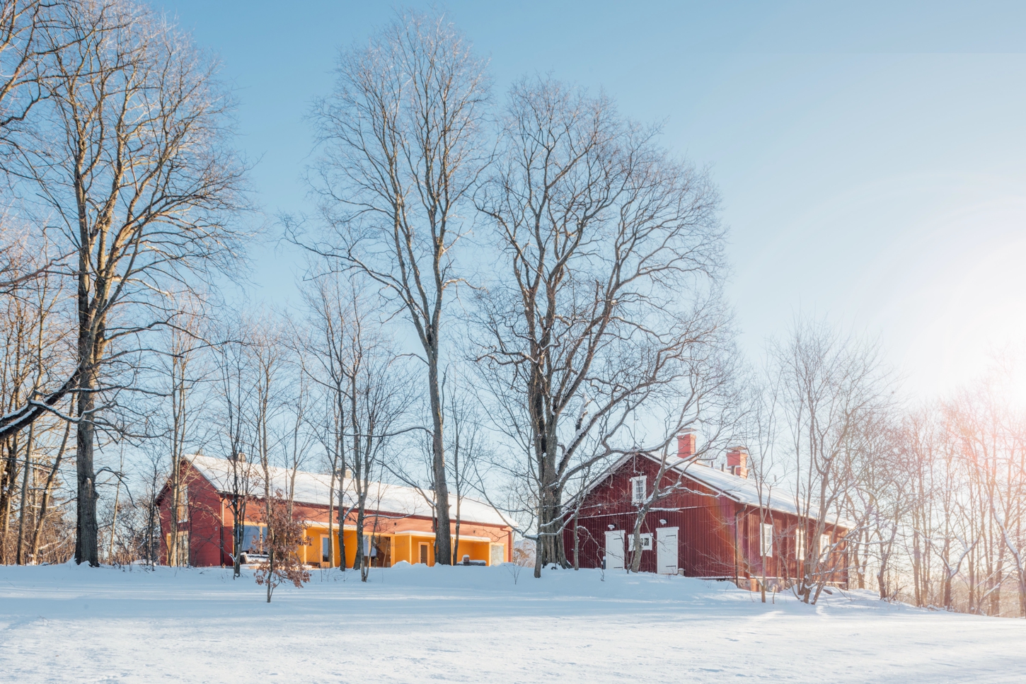 House Spaak by Avarrus Architects - Architizer
