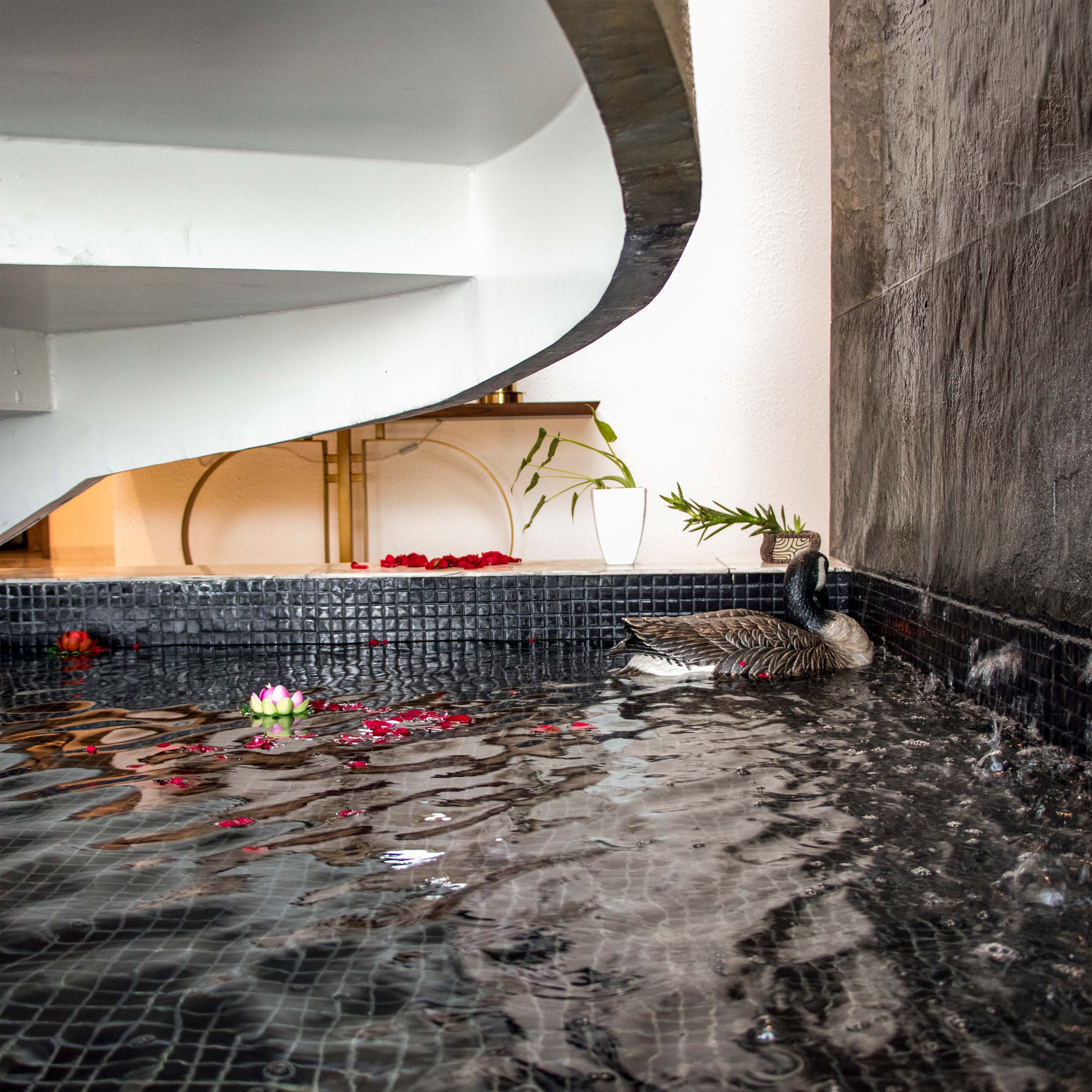 DLF Magnolias by AND studio - Architizer