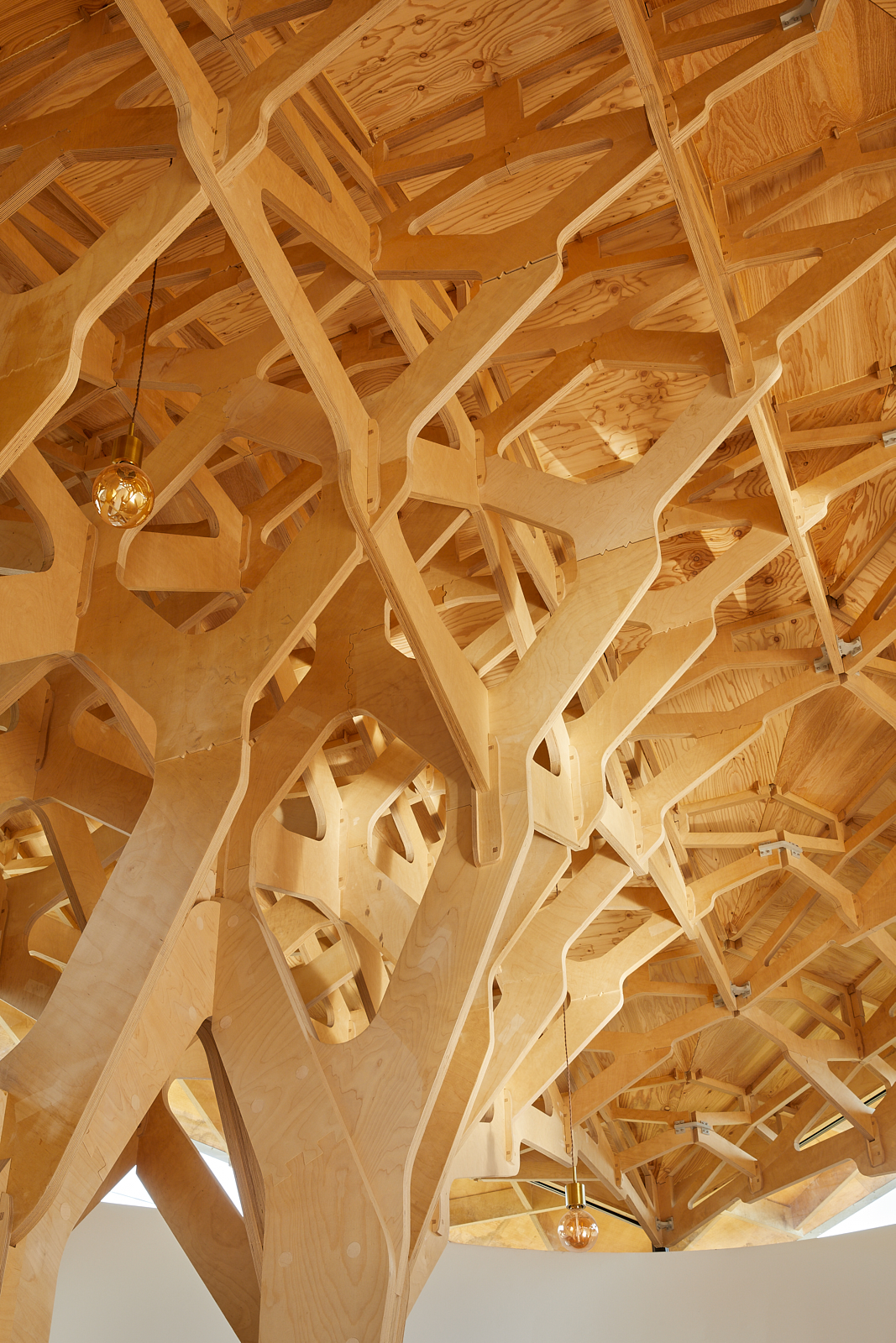 The House of Three Trees by JK-AR - Architizer