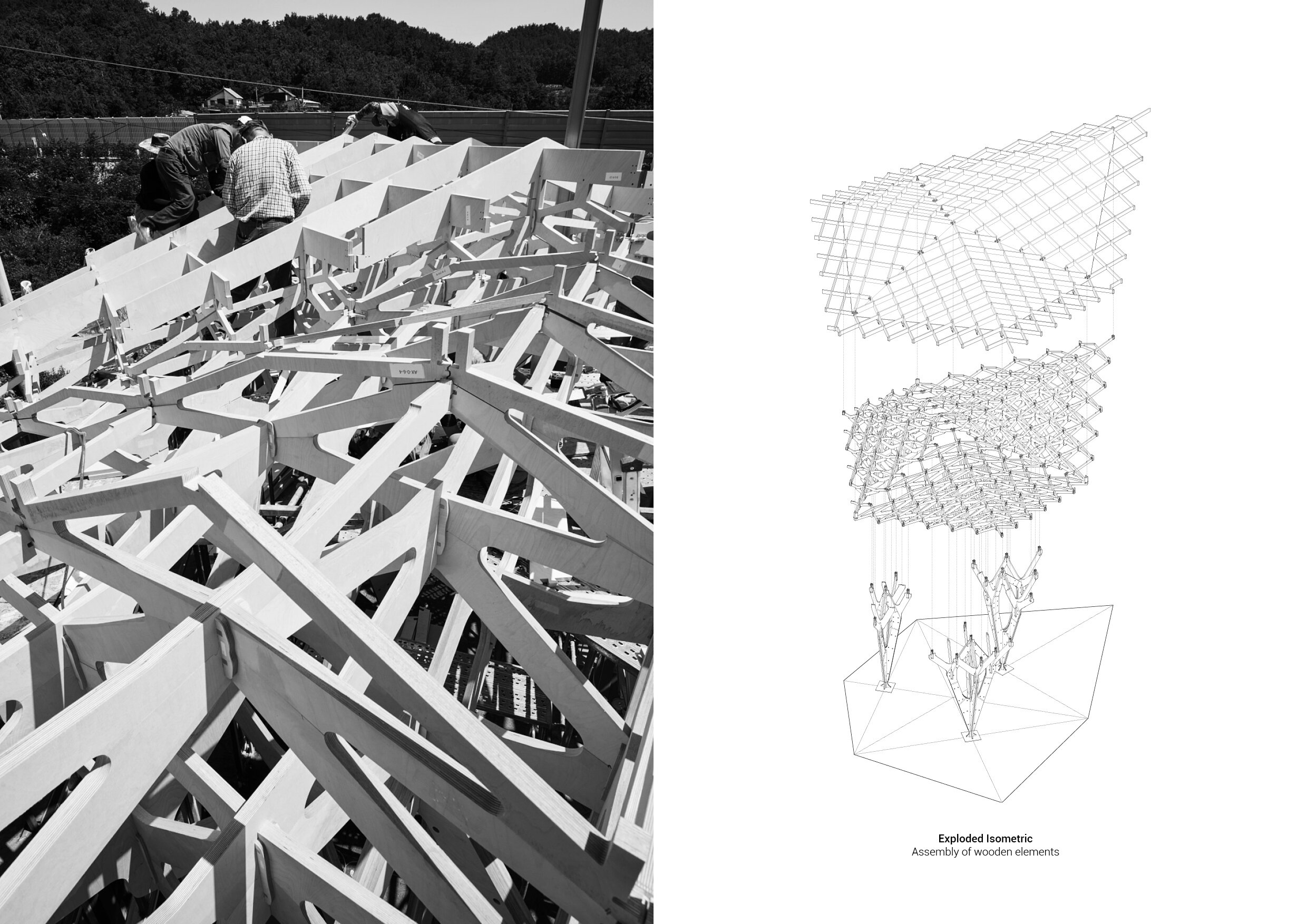 The House of Three Trees by JK-AR - Architizer