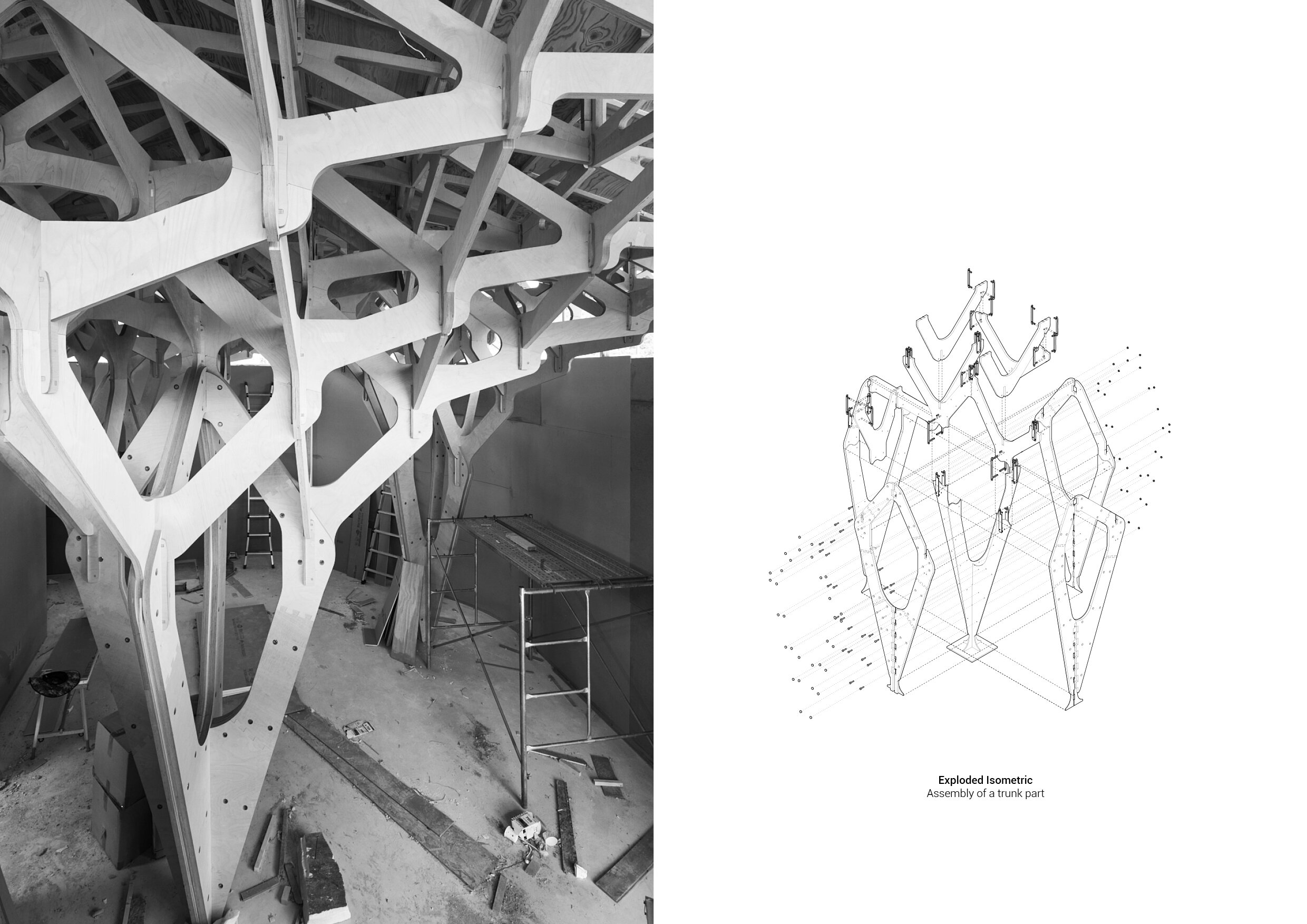 The House of Three Trees by JK-AR - Architizer