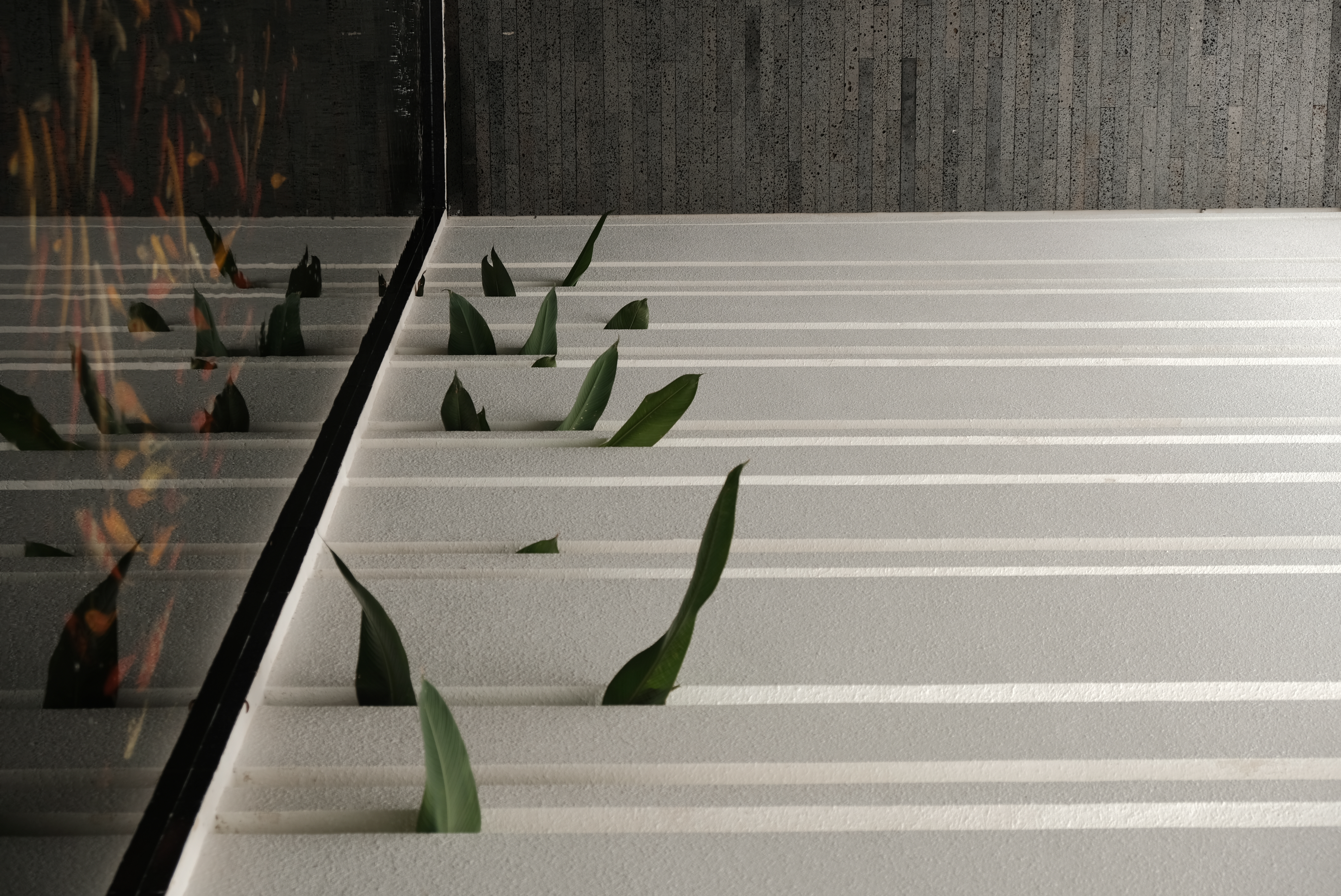 PR House by DA+S - Architizer