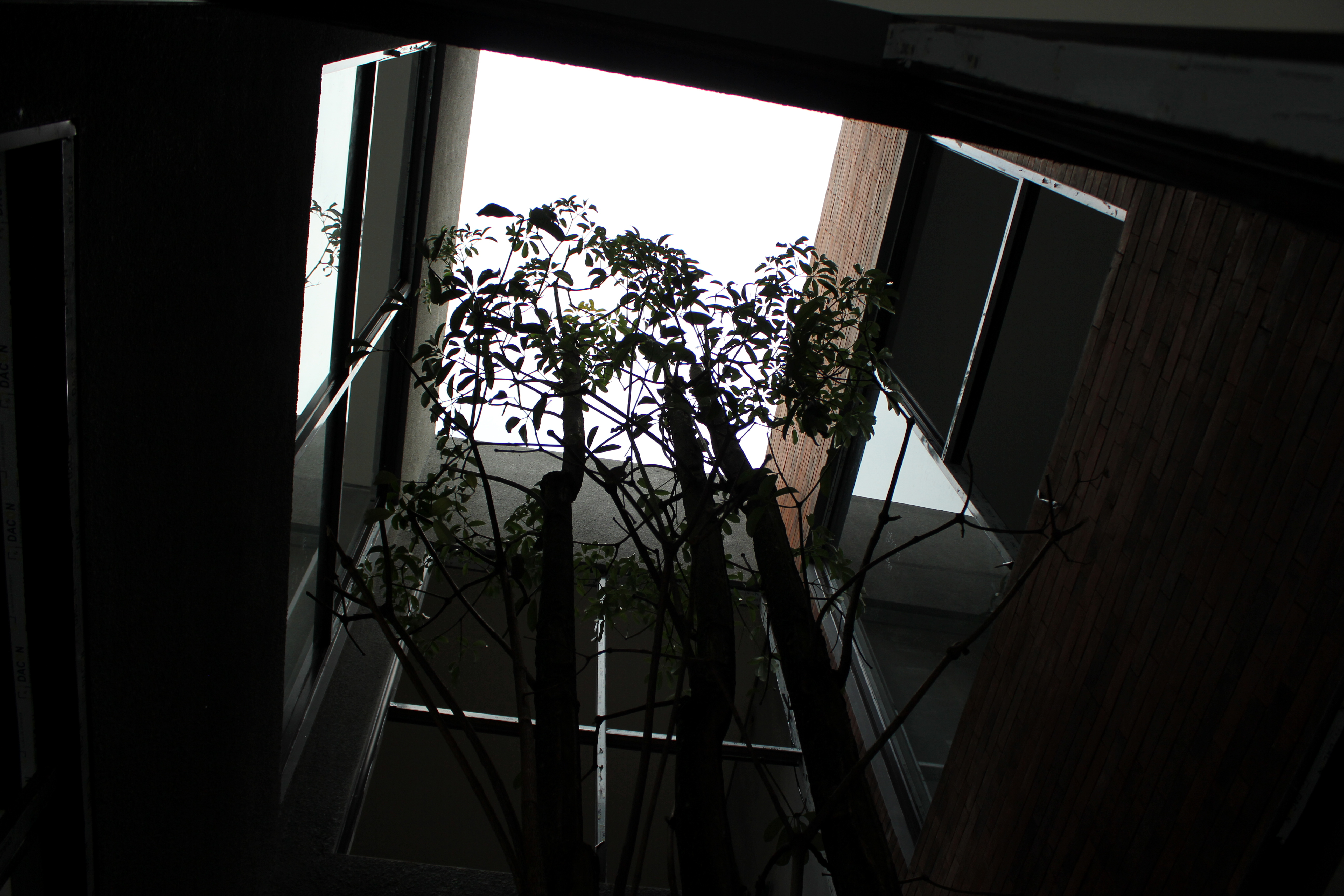 DAK House by DSI Architect - Architizer