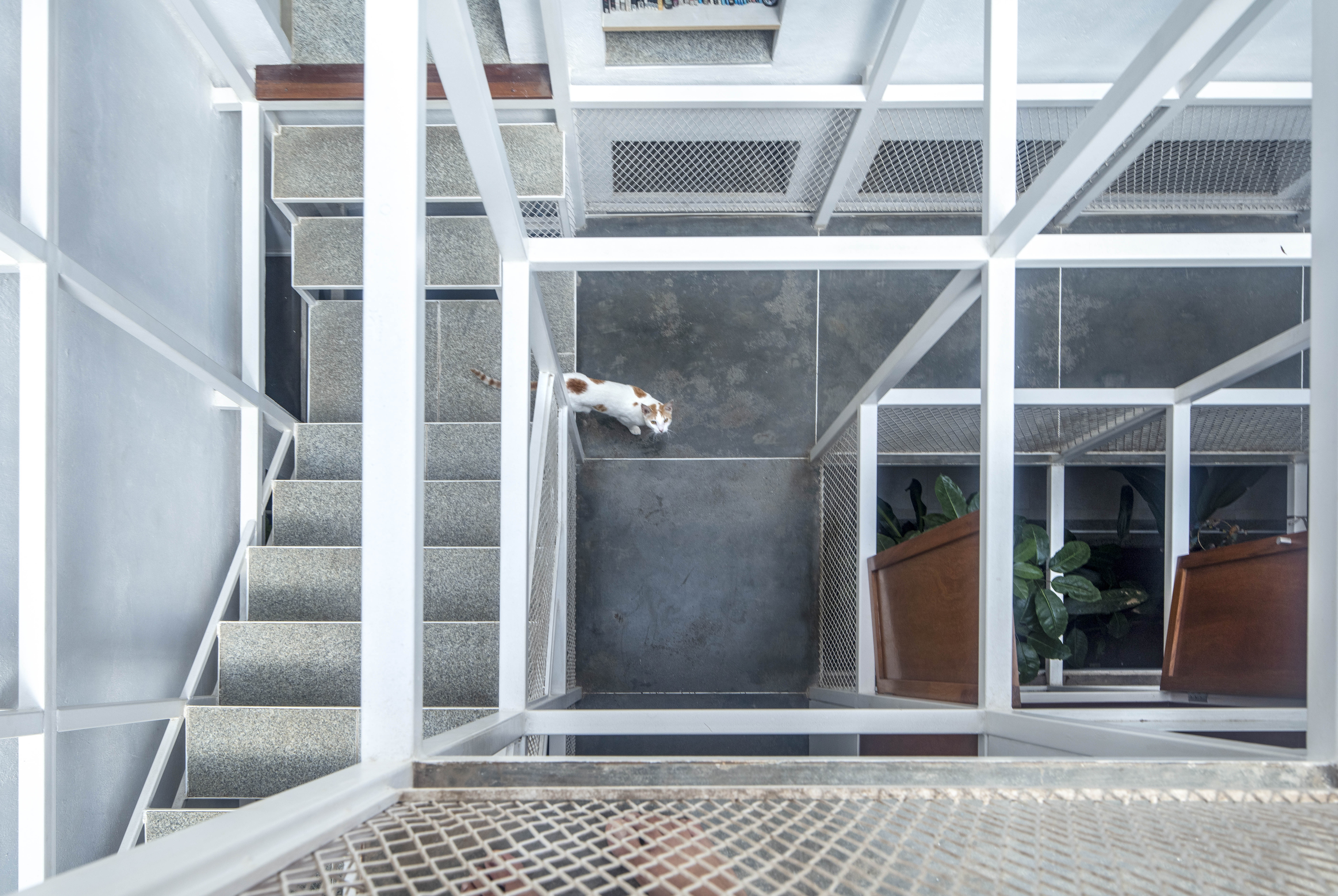 Scaffold House by Gaurav Roy Choudhury Architects - Architizer