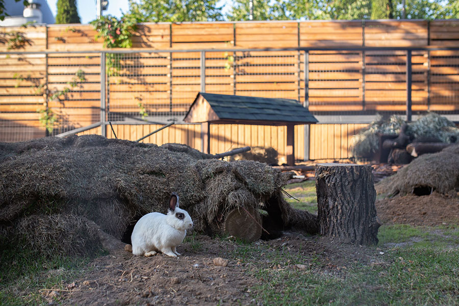 Idea 3251238: CHILDREN'S ZOO by Wowhaus in Moskva, Russia - Architizer