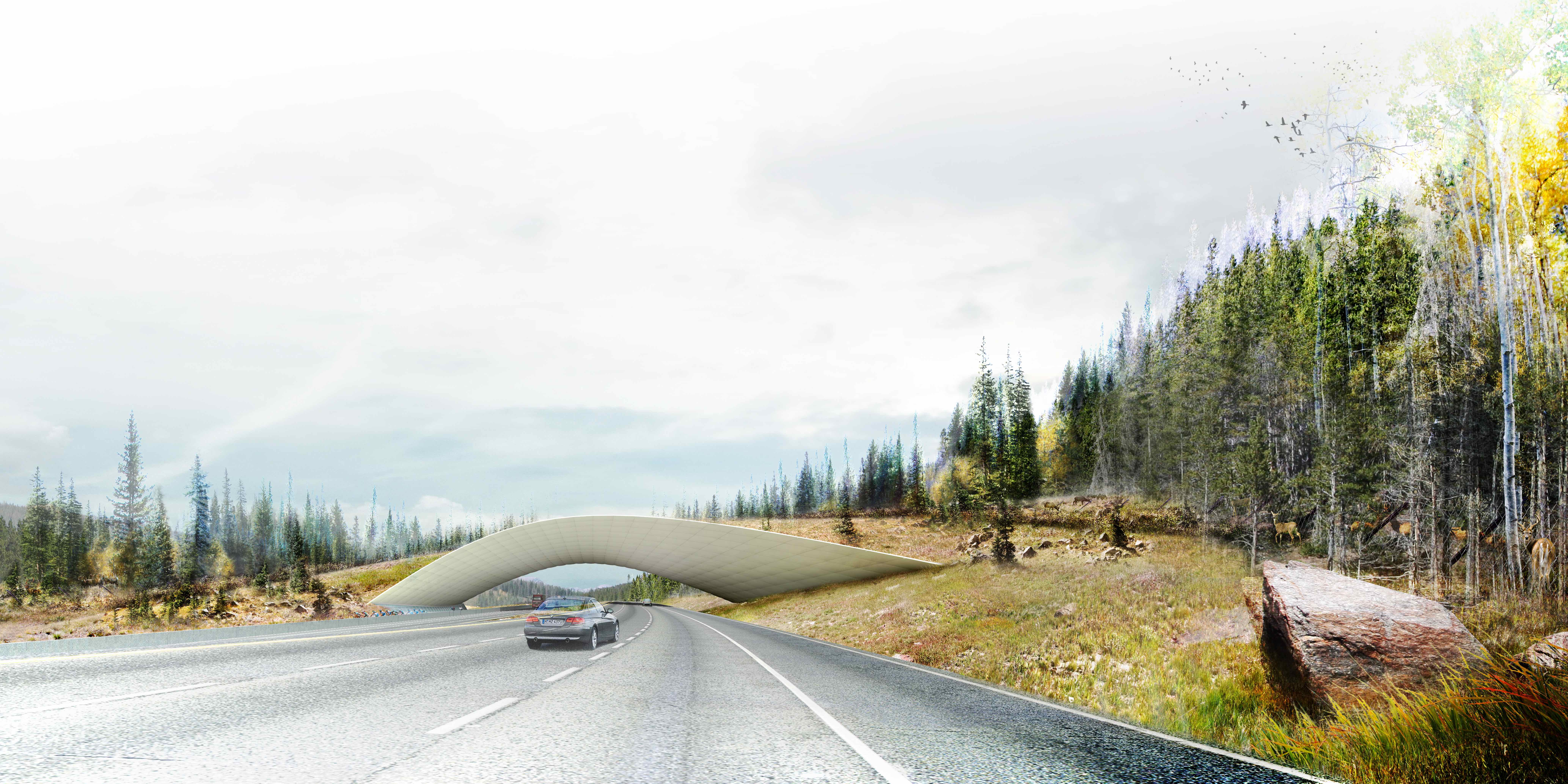Wildlife Crossings, Colorado USA by ZJA I Architects & Engineers ...