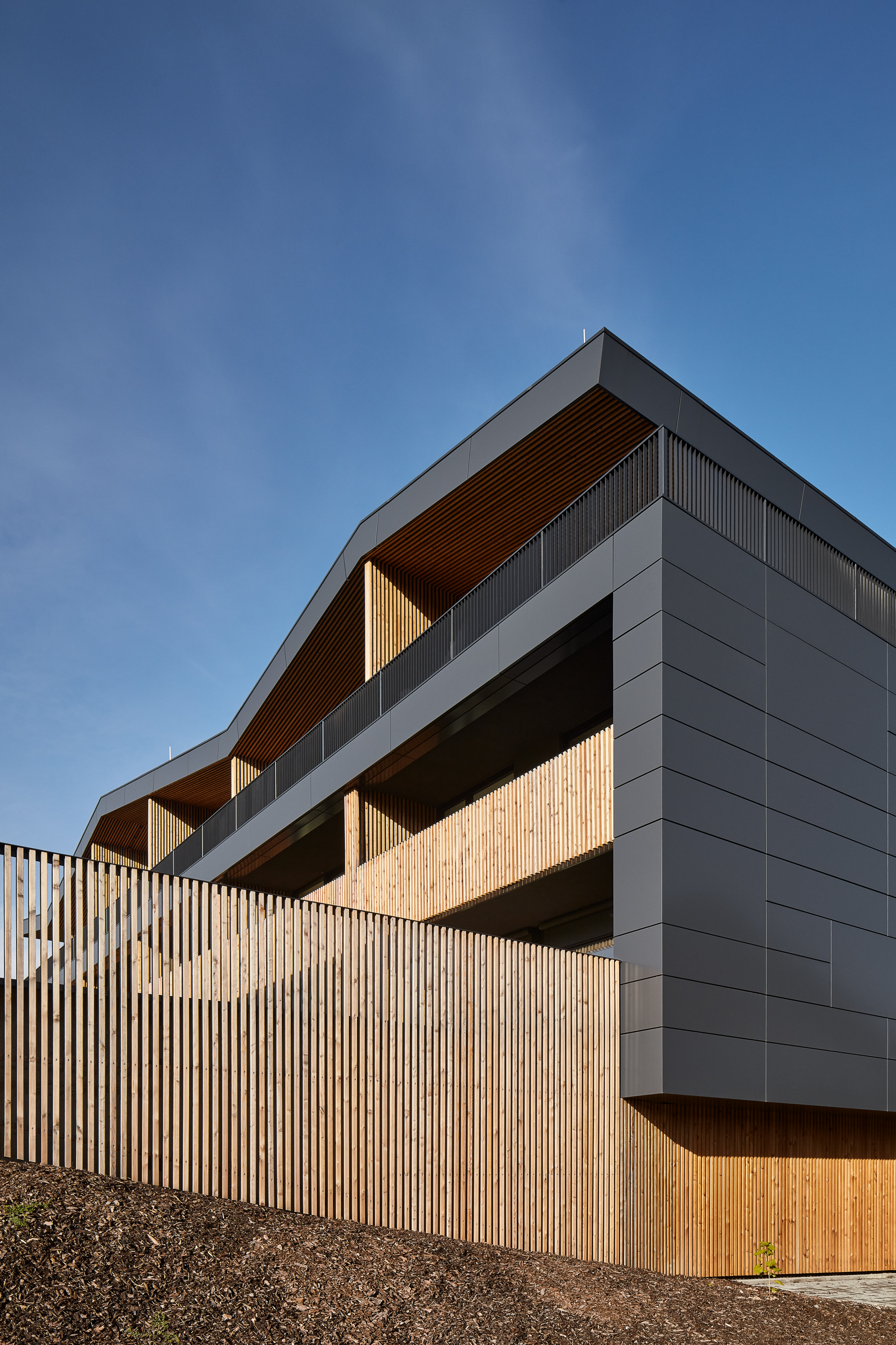 Tee House by CMC ARCHITECTS - Architizer