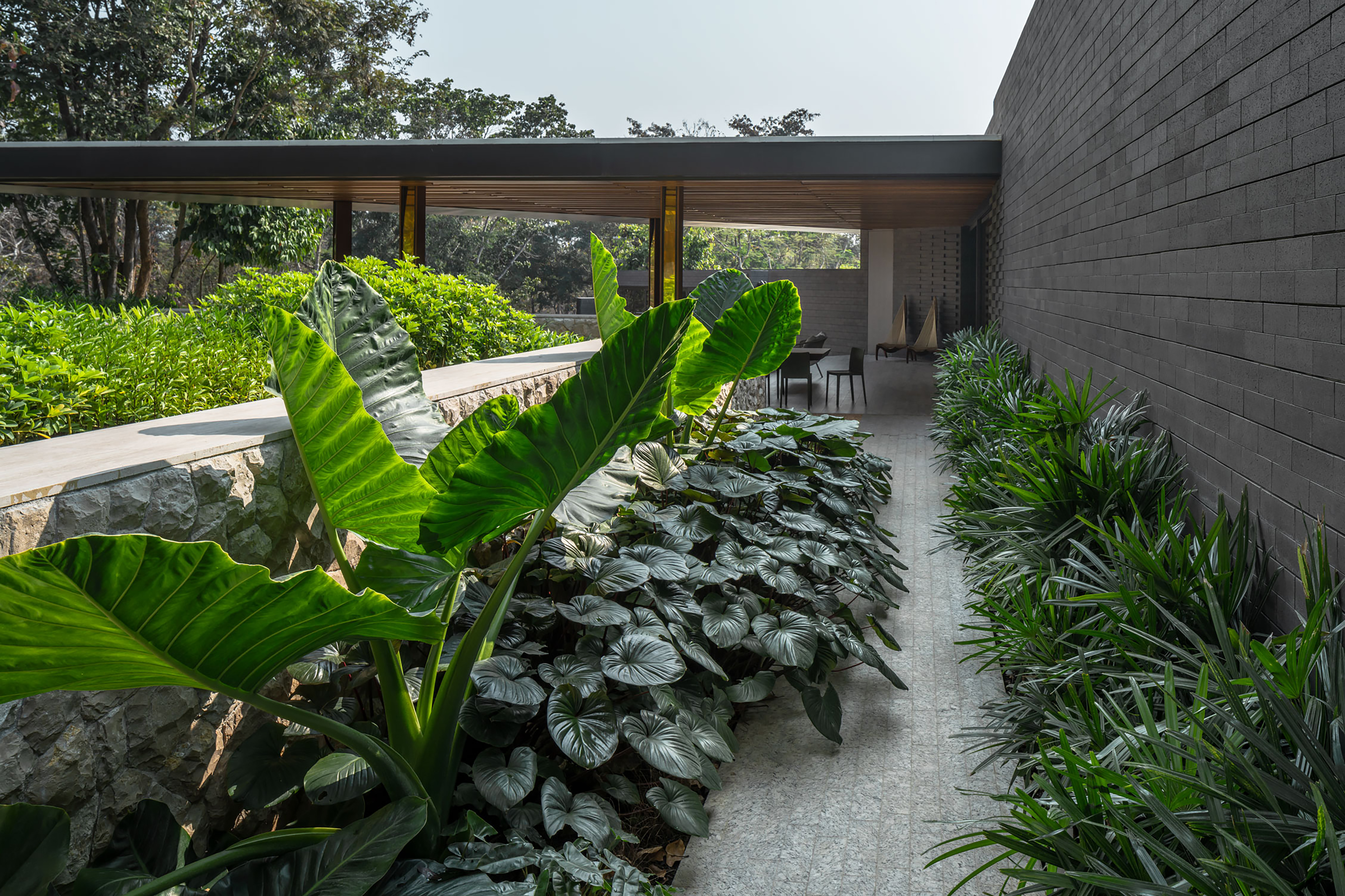 Terraced House: The Chiang Rai Residence by TROP : terrains + open ...