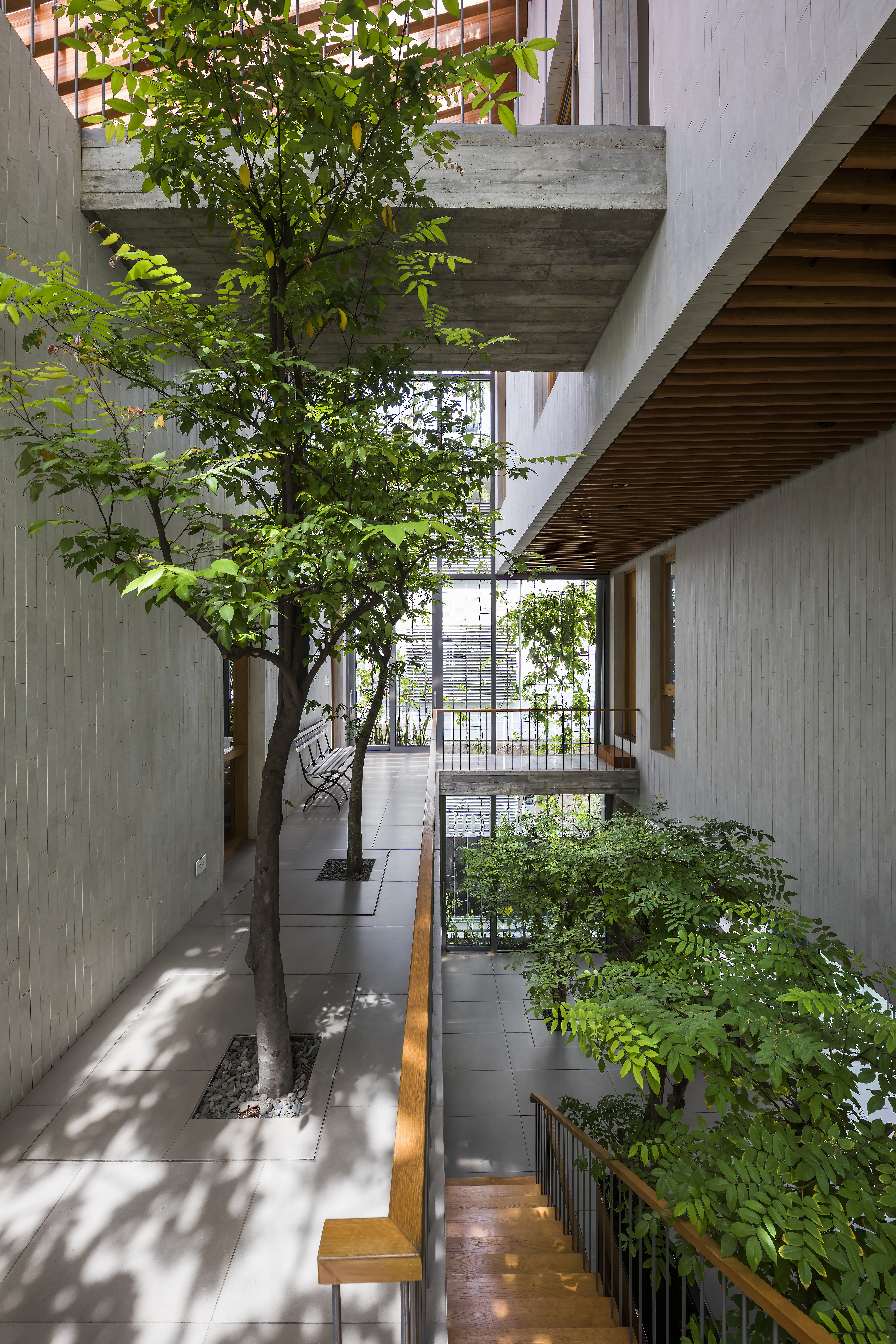 Stepping Park House by Vo Trong Nghia Architects - Architizer
