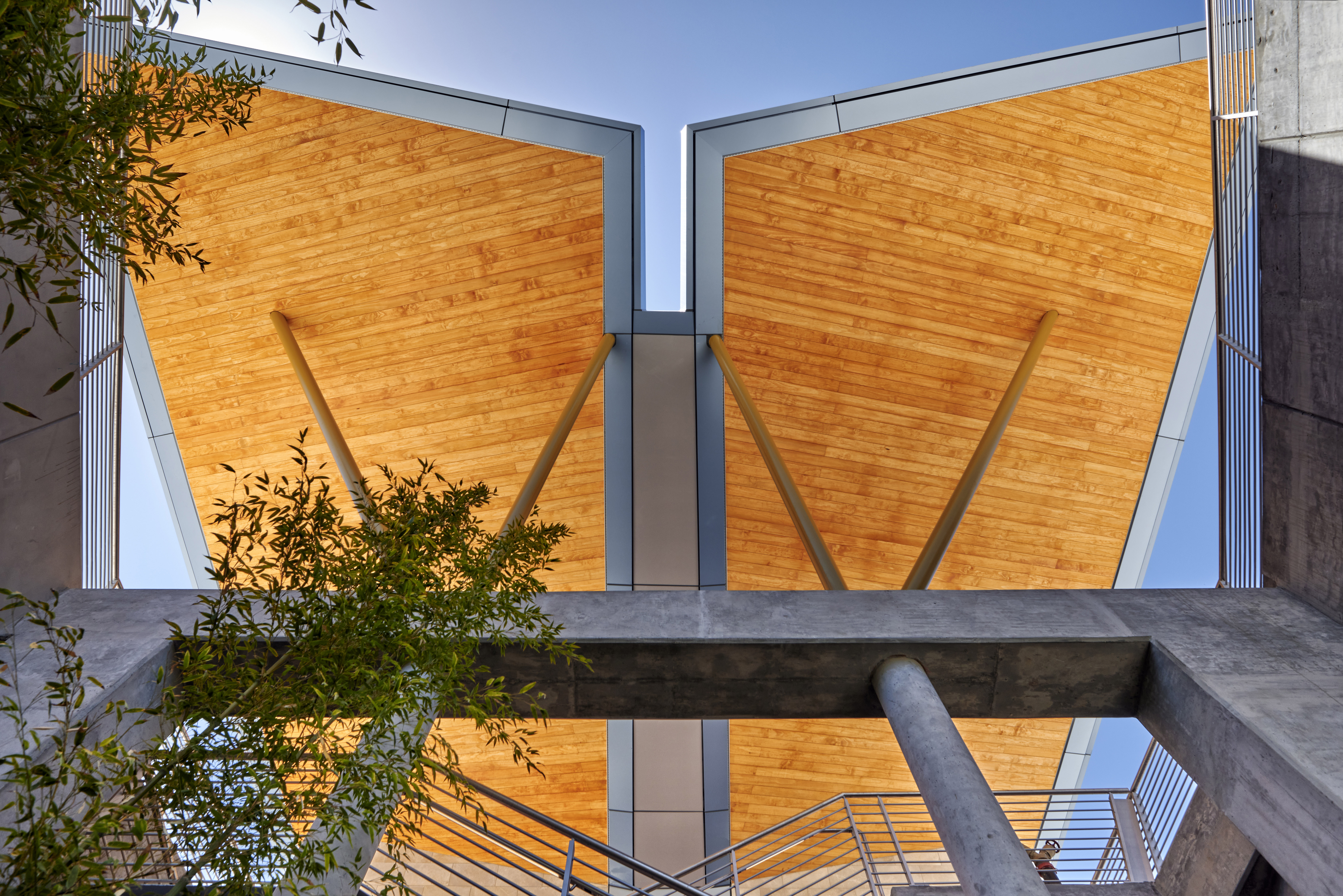 Folded Wings by Form4 Architecture - Architizer