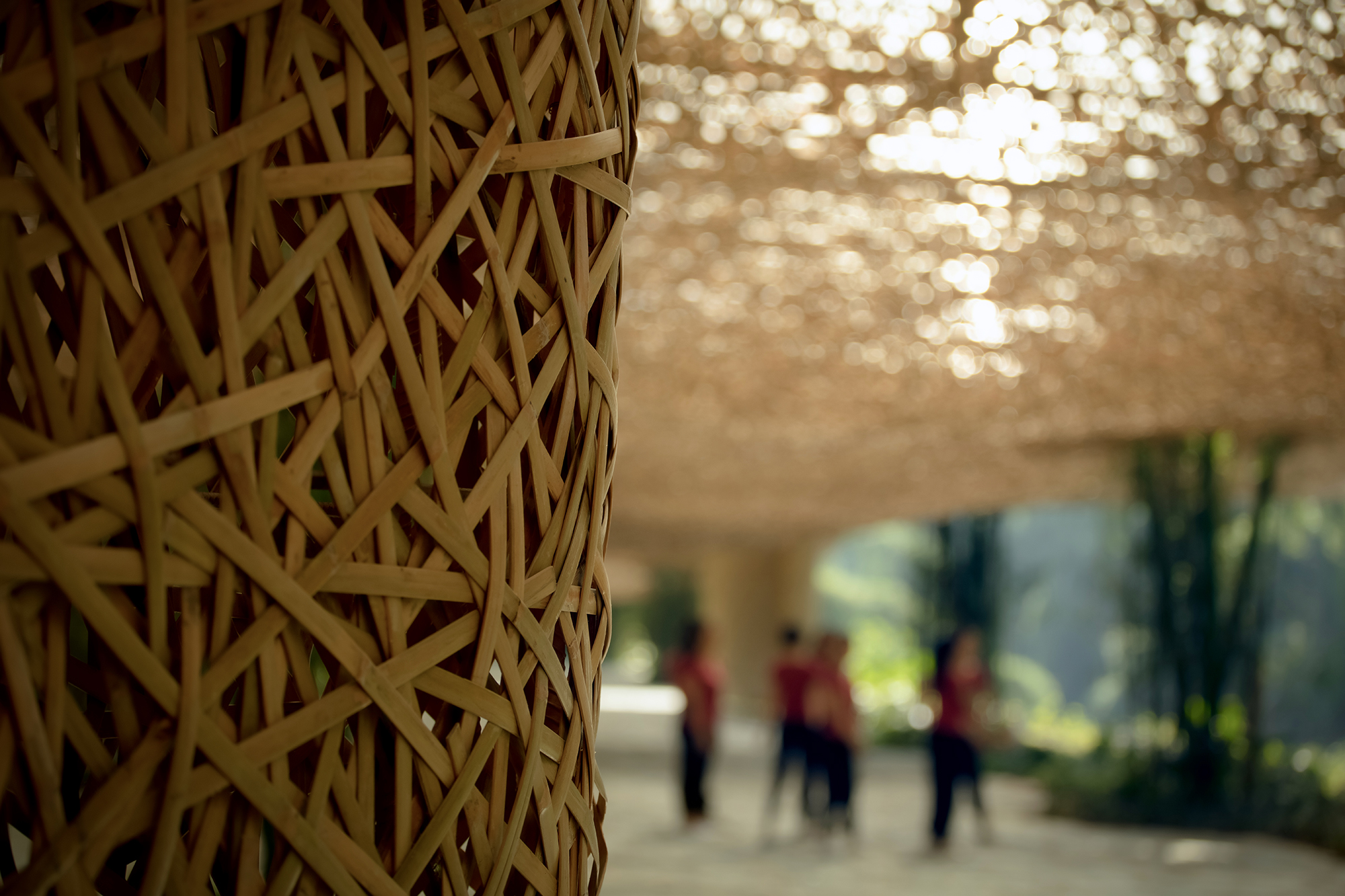 Bamboo Bamboo, Canopy and Pavilions,Impression SanjieLiu by LLLab ...