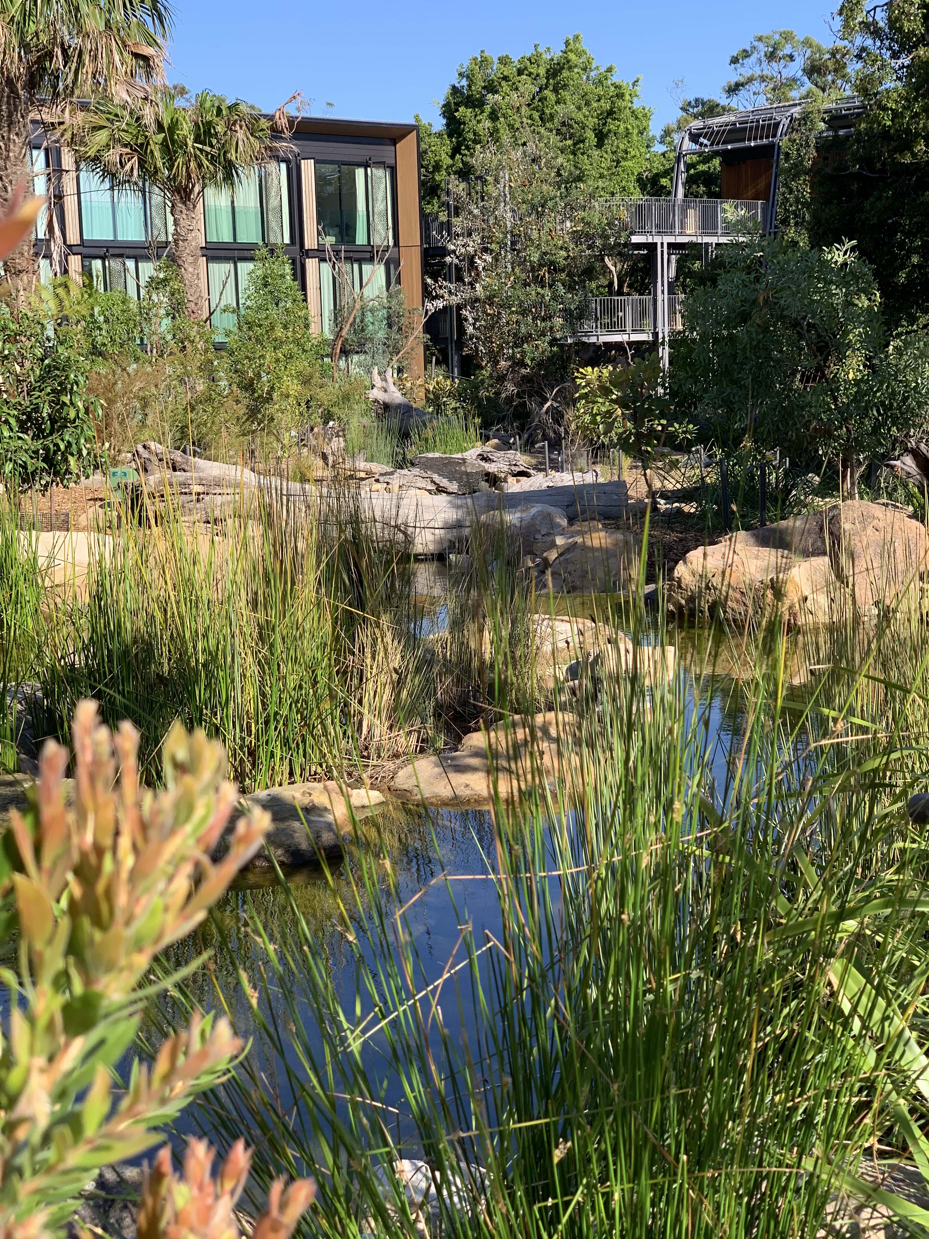 Taronga Zoo Wildlife Retreat by Turf Design Studio - Architizer