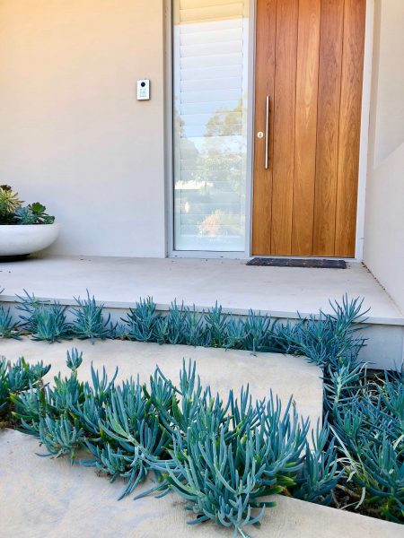 Mosman park by Springgreen Landscapes - Architizer